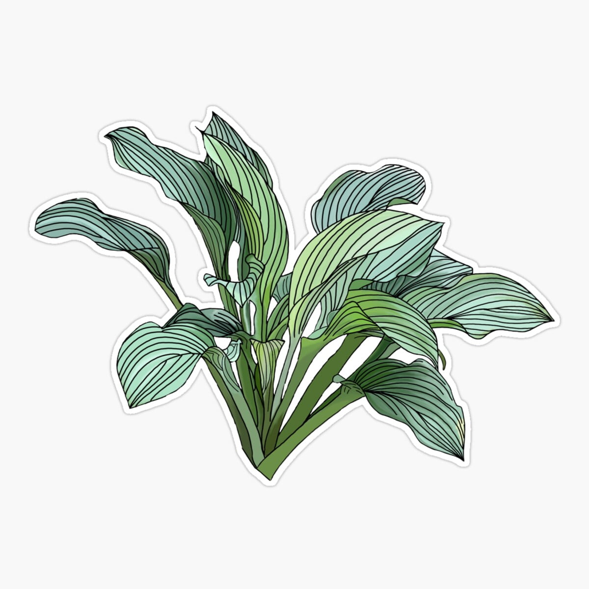 Maneki Hosta Plant Sticker Sticker, Phone Decal Water Bottle Stickers ...