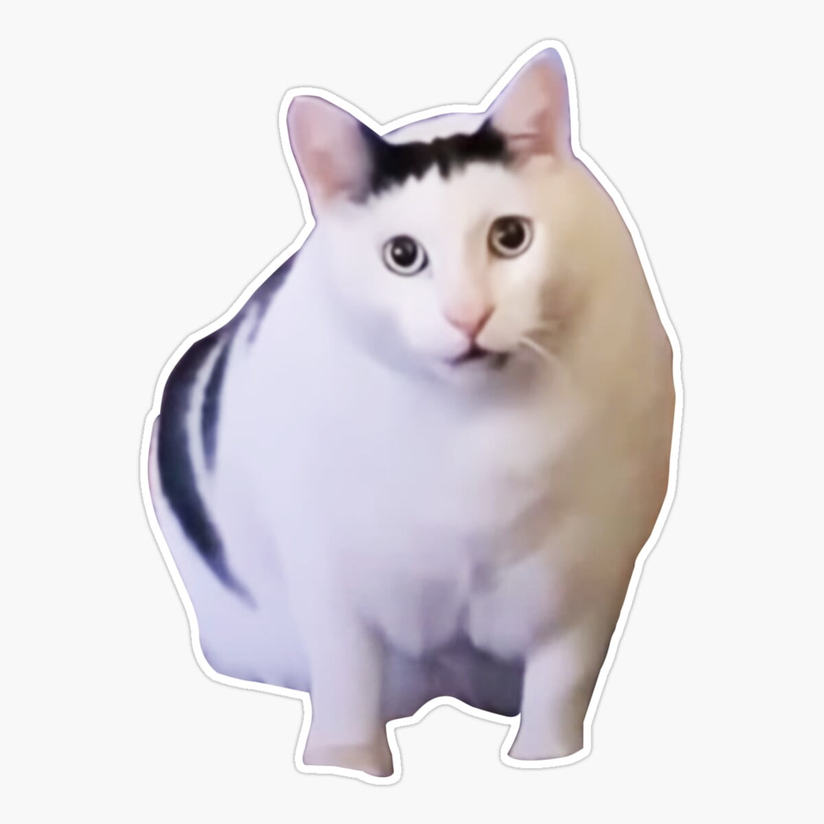 Maneki Huh Cat Chonky Ben Sticker, Phone Decal Water Bottle Stickers ...