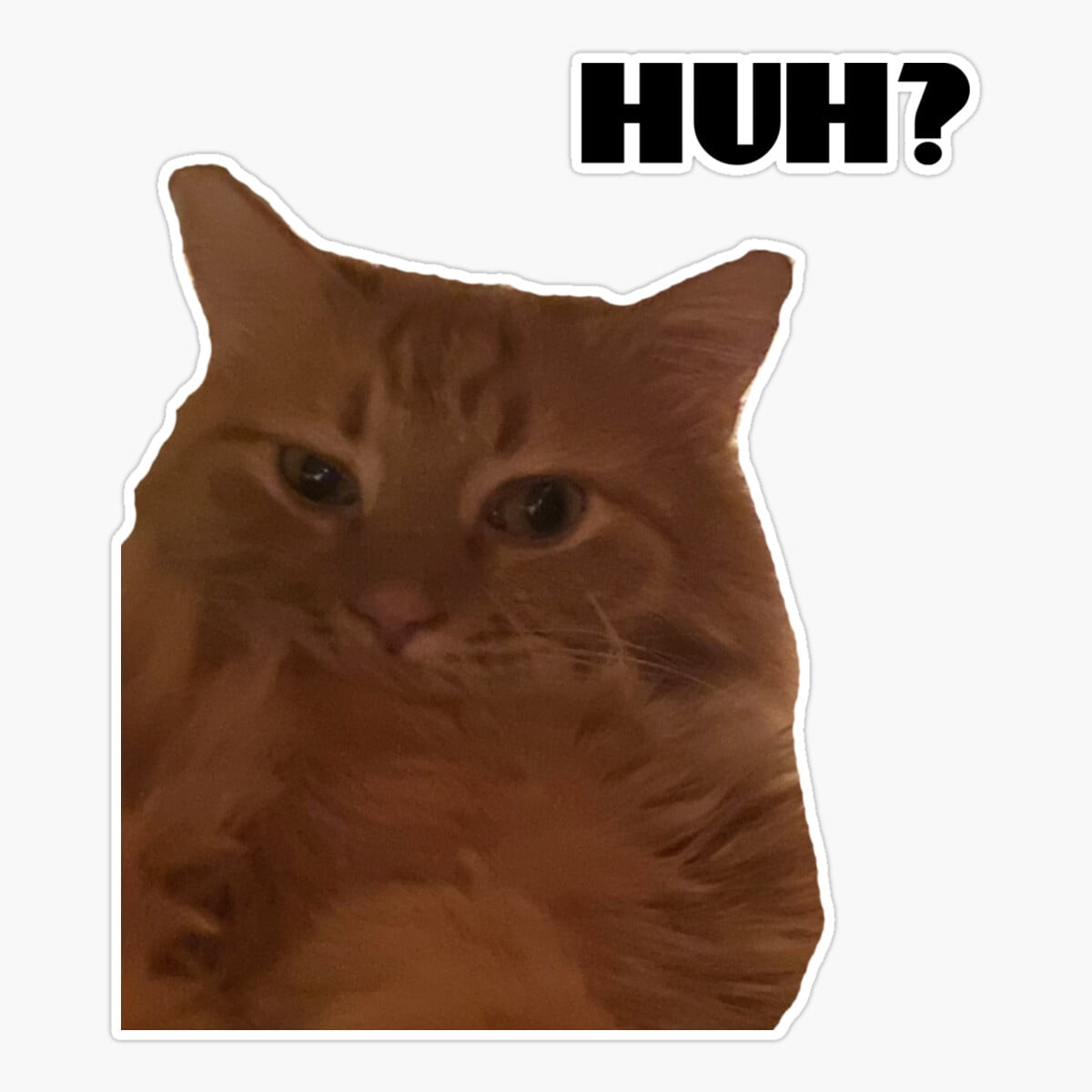 Maneki Huh?! Sticker, Phone Decal Water Bottle Stickers Car Decals ...