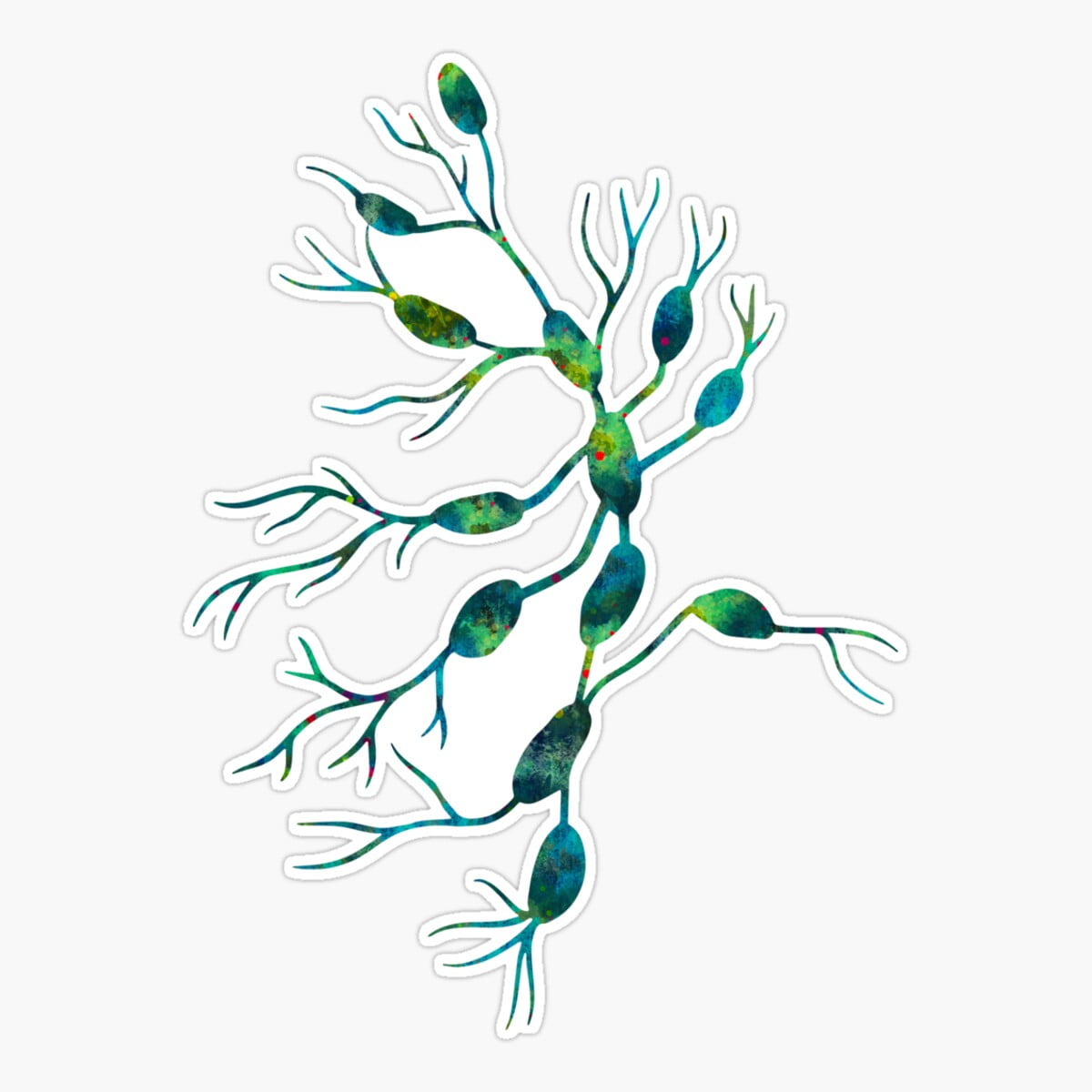 Maneki Human Lymph Nodes Er, Phone Decal Water Bottle Stickers Car ...