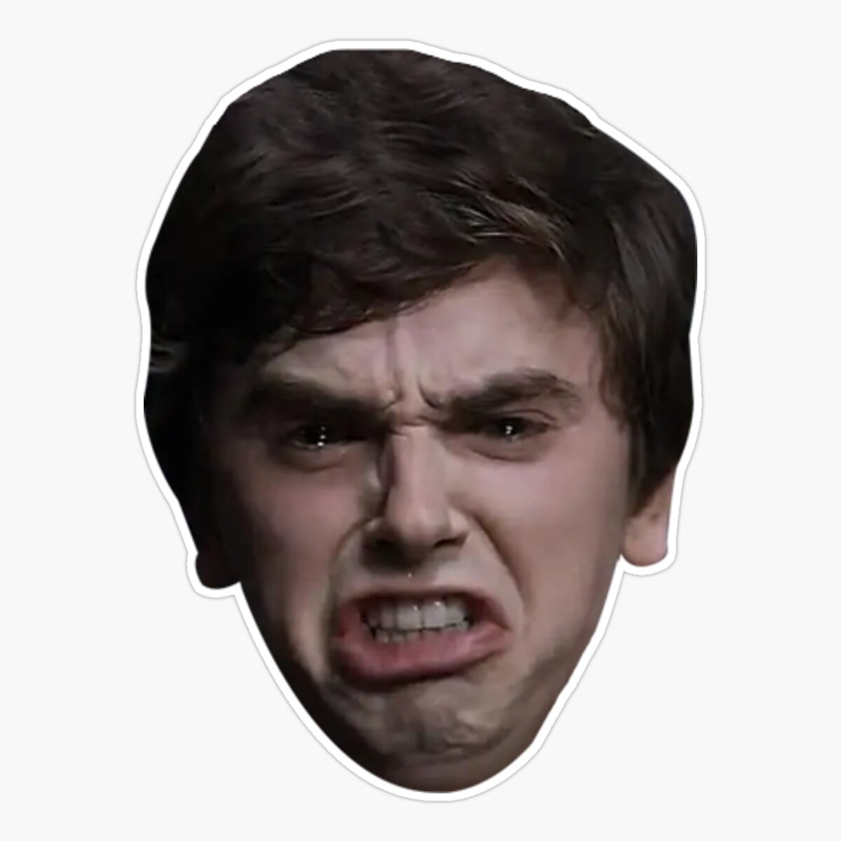 Maneki I Am A Surgeon, Dr Han! Er, Phone Decal Water Bottle Stickers ...