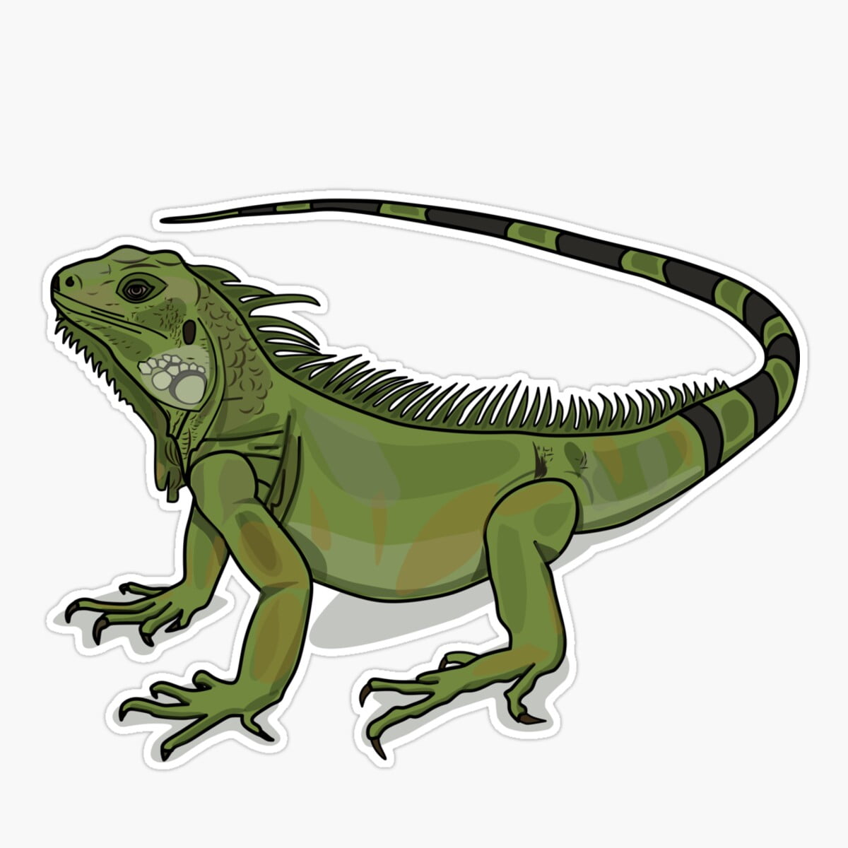 Maneki Iguana Cartoon Illustration Sticker, Phone Decal Water Bottle ...