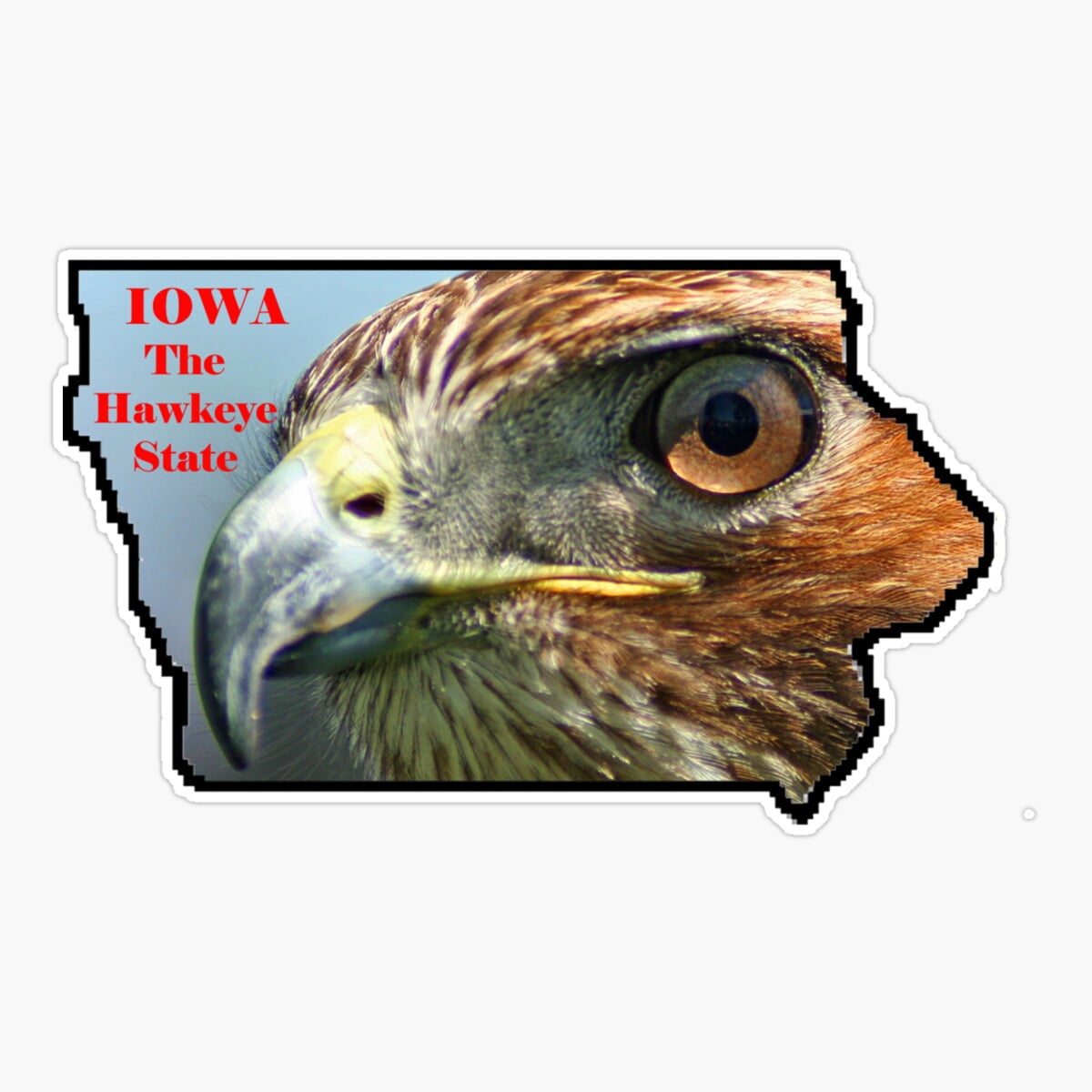 Maneki Iowa State Map With Nickname Sticker, Phone Decal Water Bottle ...