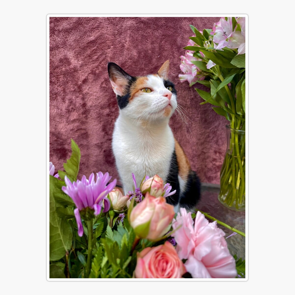 Maneki Irst Plum Sticker, Phone Decal Water Bottle Stickers Car Decals ...