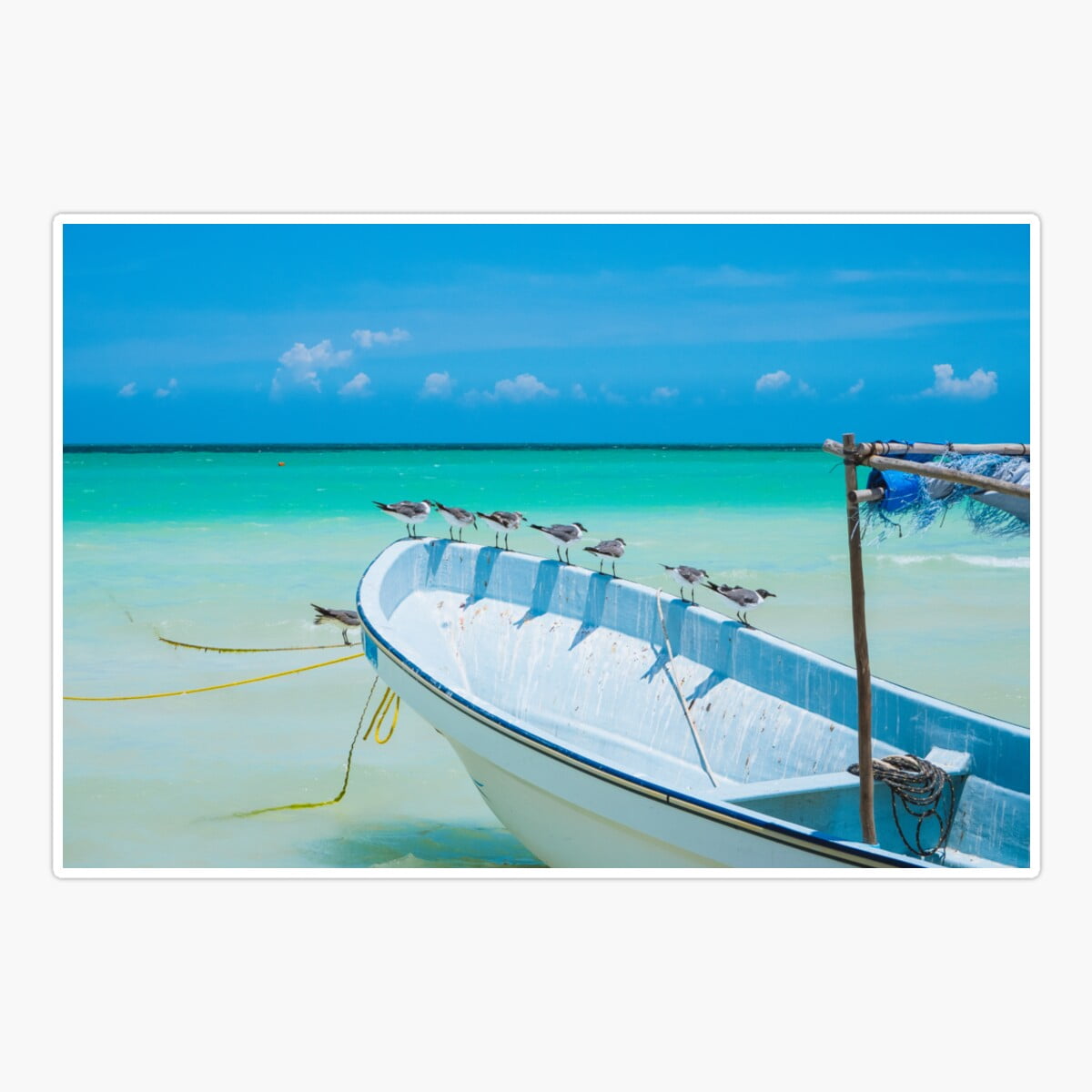 Maneki Isla Holbox Seagulls Seagulls On A White Boat With A Blue Sky ...