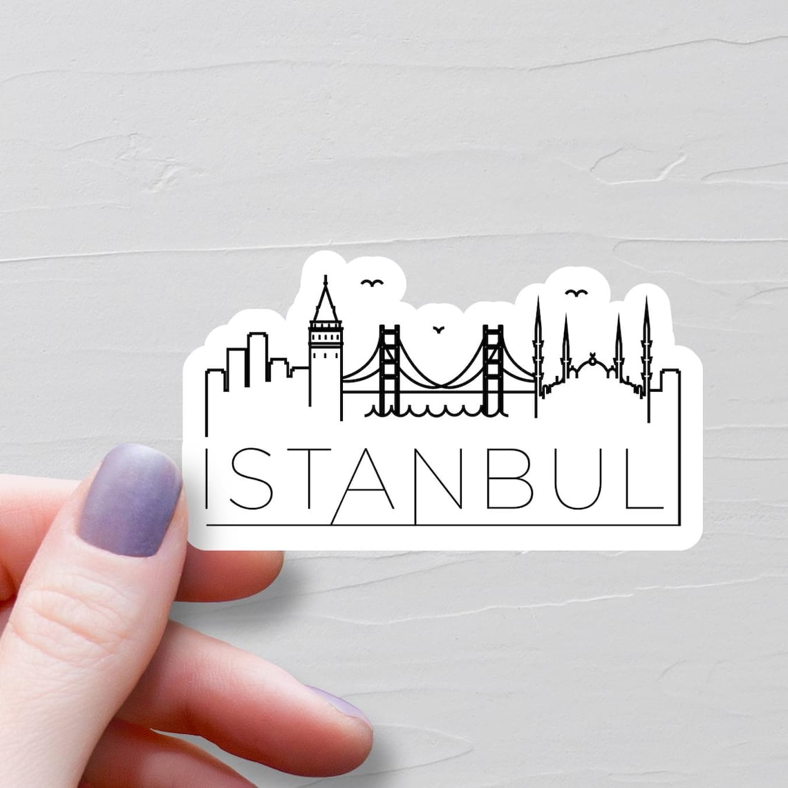 Maneki Istanbul Er, Vinyl Travel Ers, Country Of Turkey Ers, Asia ...