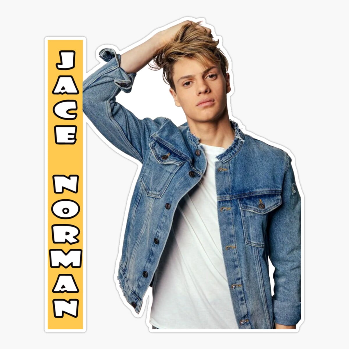 Maneki Jace Norman T-Shirts Gift For Fans, For Men And Women, Gift Mother Day, Father Day Er ...