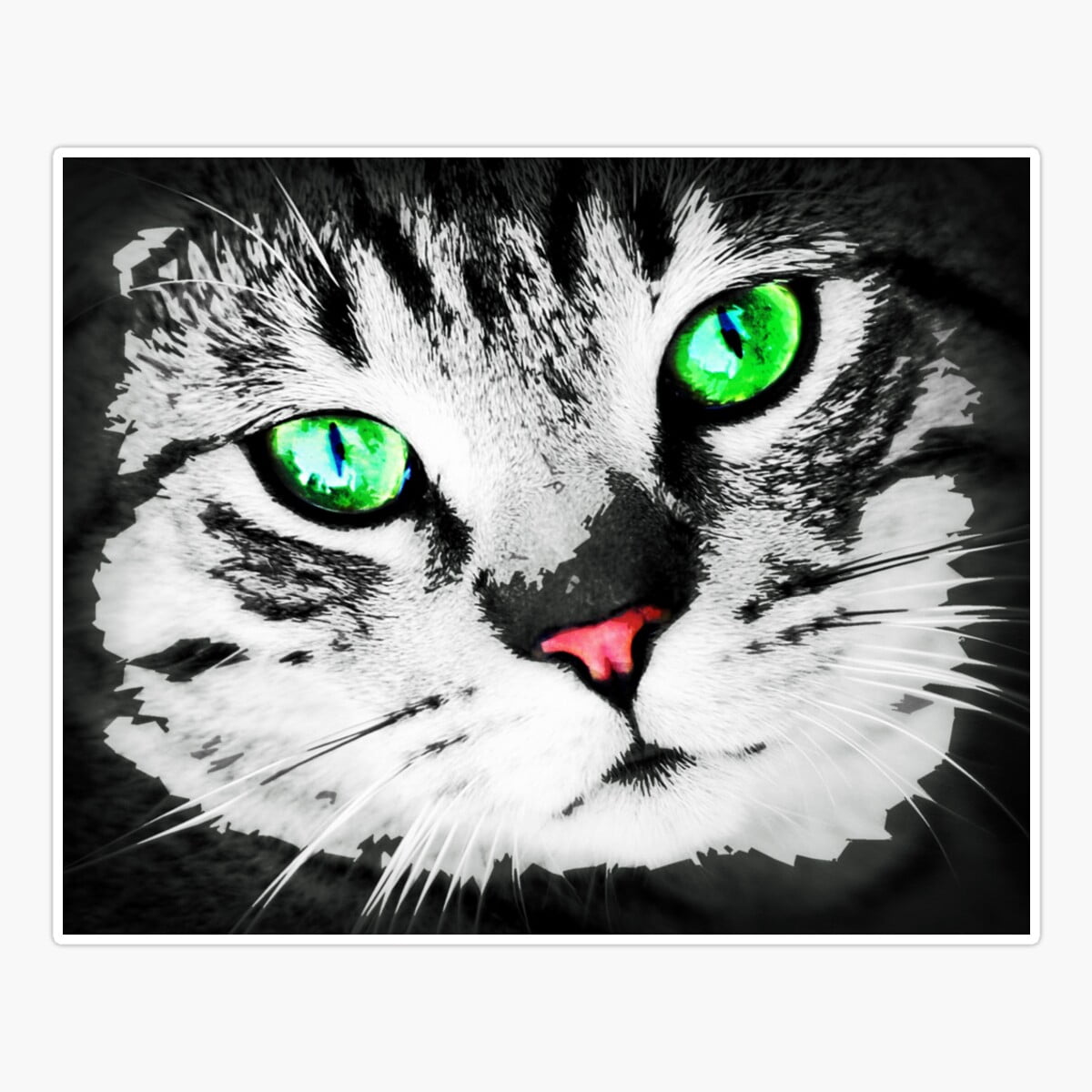 Maneki Jade Eyes Sticker, Phone Decal Water Bottle Stickers Car Decals ...