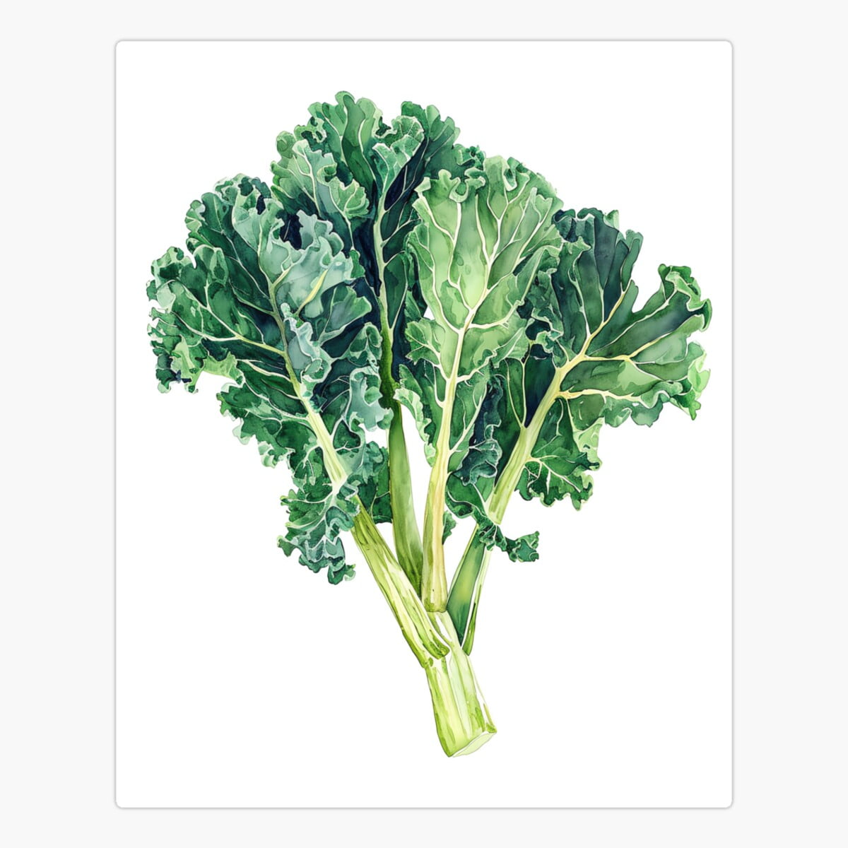 Maneki Kale - Ruits And Vegetables Kitchen Poster - Kitchen Art ...