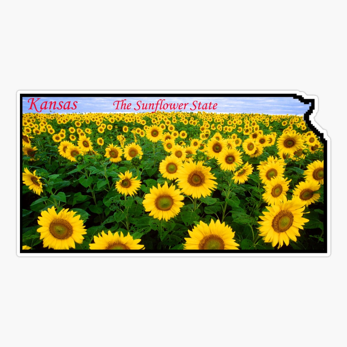 Maneki Kansas Map With State Nickname: The Sunlower State Sticker ...