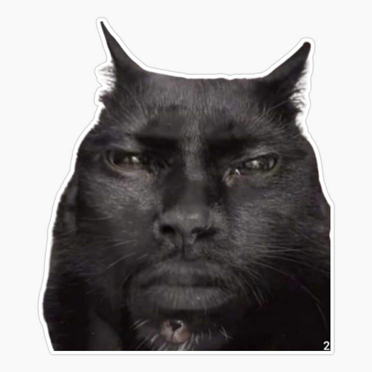 Maneki Kevin Hart Cat Sticker, Phone Decal Water Bottle Stickers Car ...