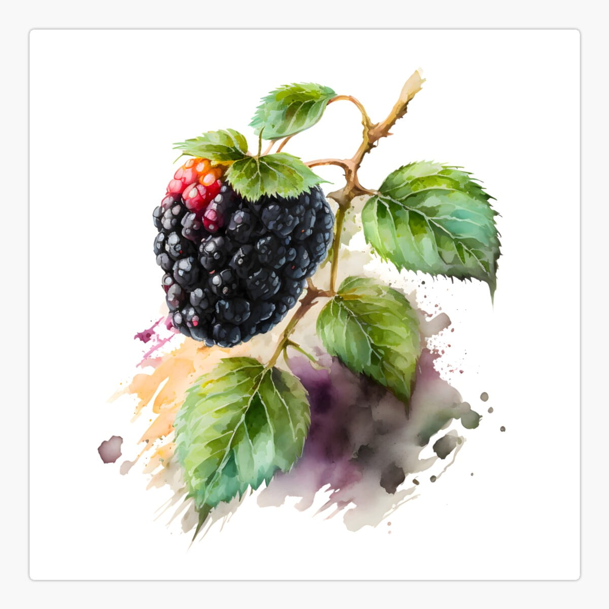 Maneki Kitchen Art - Blackberry Sticker, Phone Decal Water Bottle ...