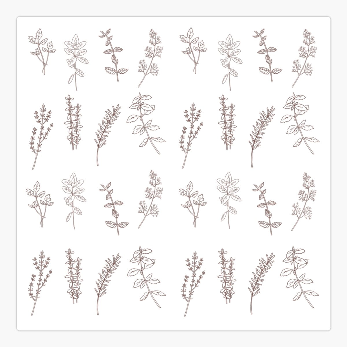 Maneki Kitchen Herbs Sticker, Phone Decal Water Bottle Stickers Car ...