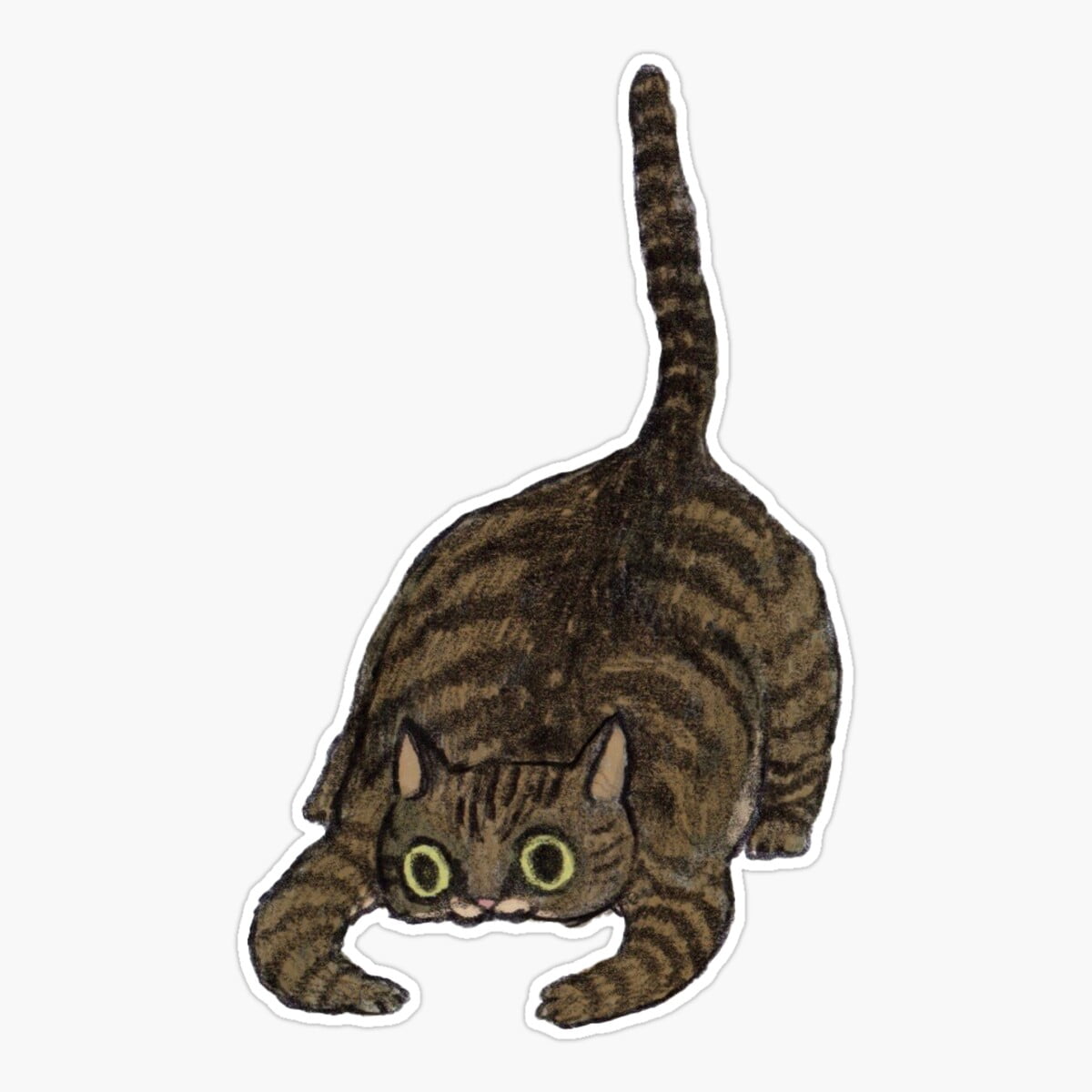 Maneki (Lap)Jack Pounce | Tabby Cat | Cat Pounce | Black And Brown ...