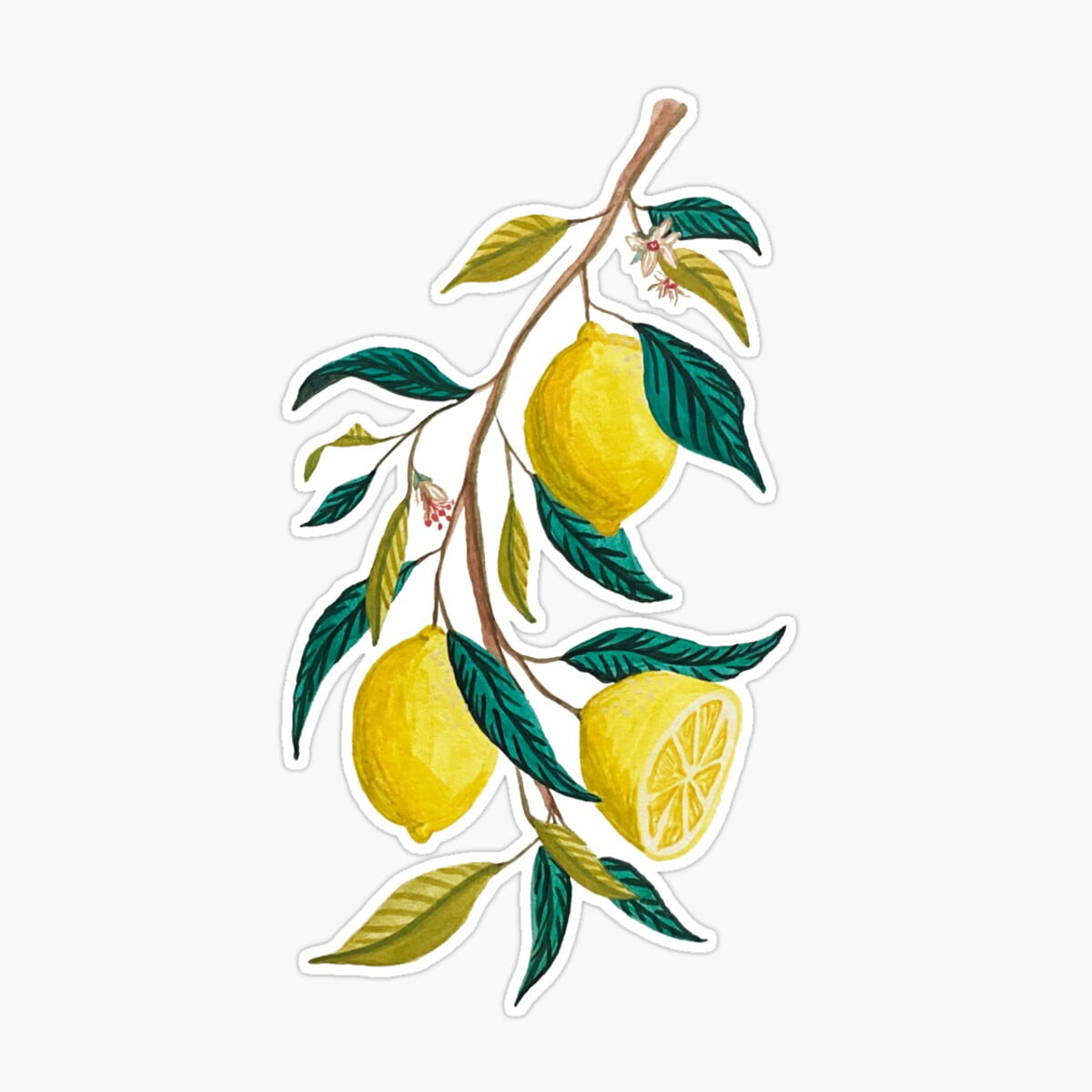 Maneki Lemon Branch Sticker, Phone Decal Water Bottle Stickers Car ...