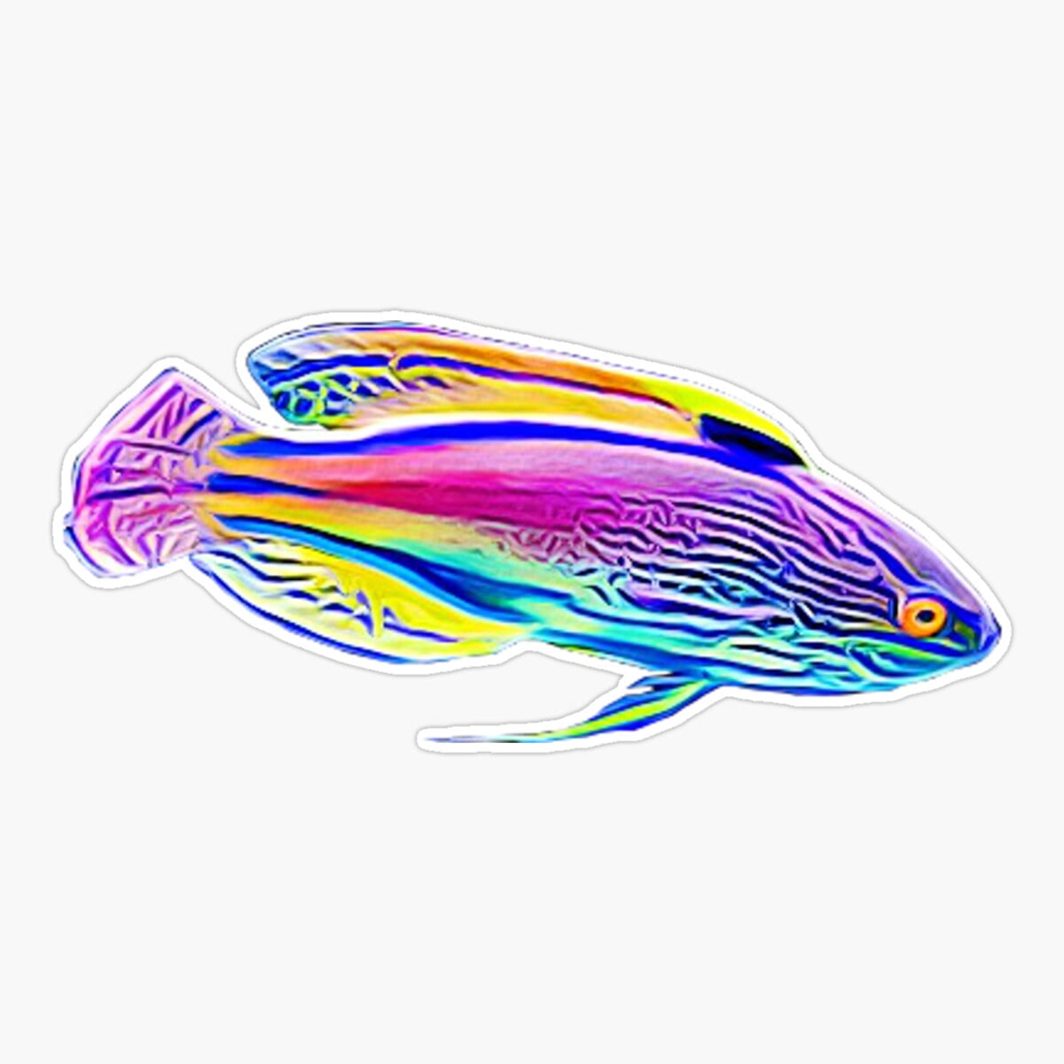 Maneki Lineatus Fairy Wrasse Saltwater Fish Sticker, Phone Decal Water ...
