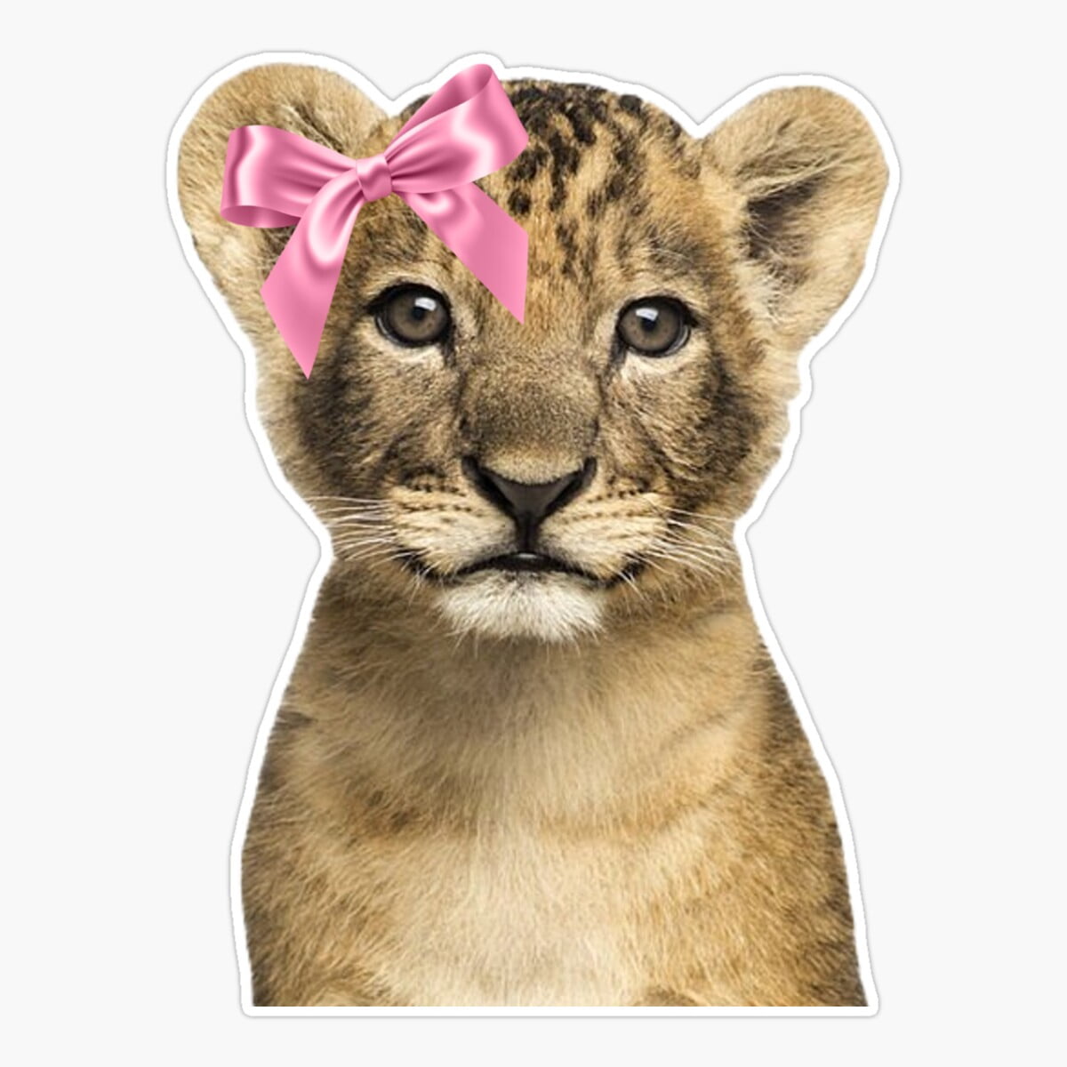 Maneki Lion Cub Wearing Bow Er, Phone Decal Water Bottle Stickers Car ...