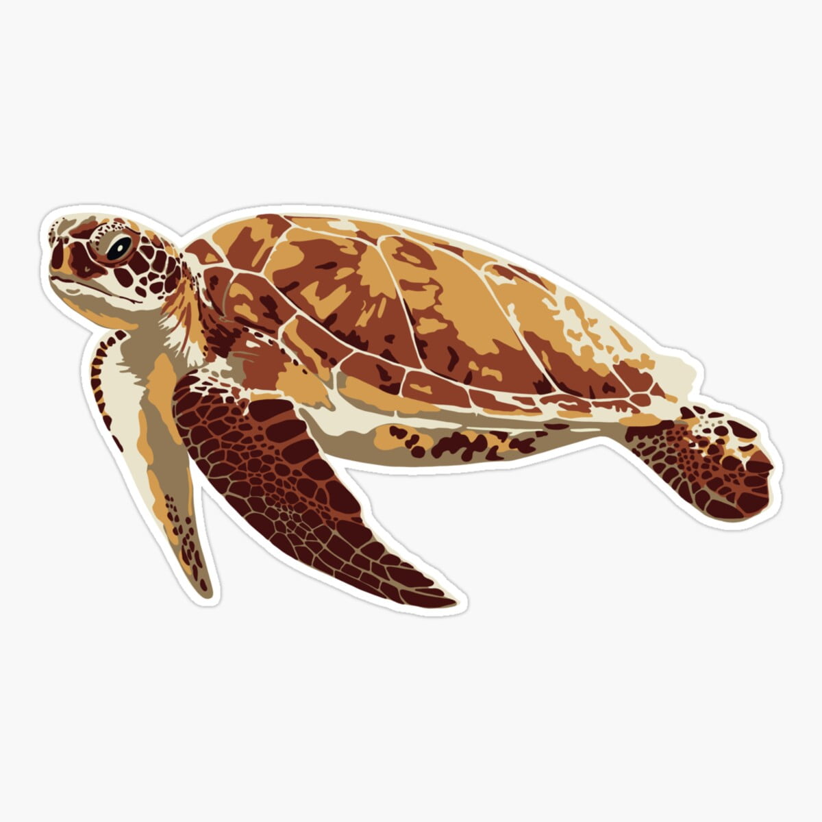 Maneki Loggerhead Sea Turtle Sticker, Phone Decal Water Bottle Stickers ...