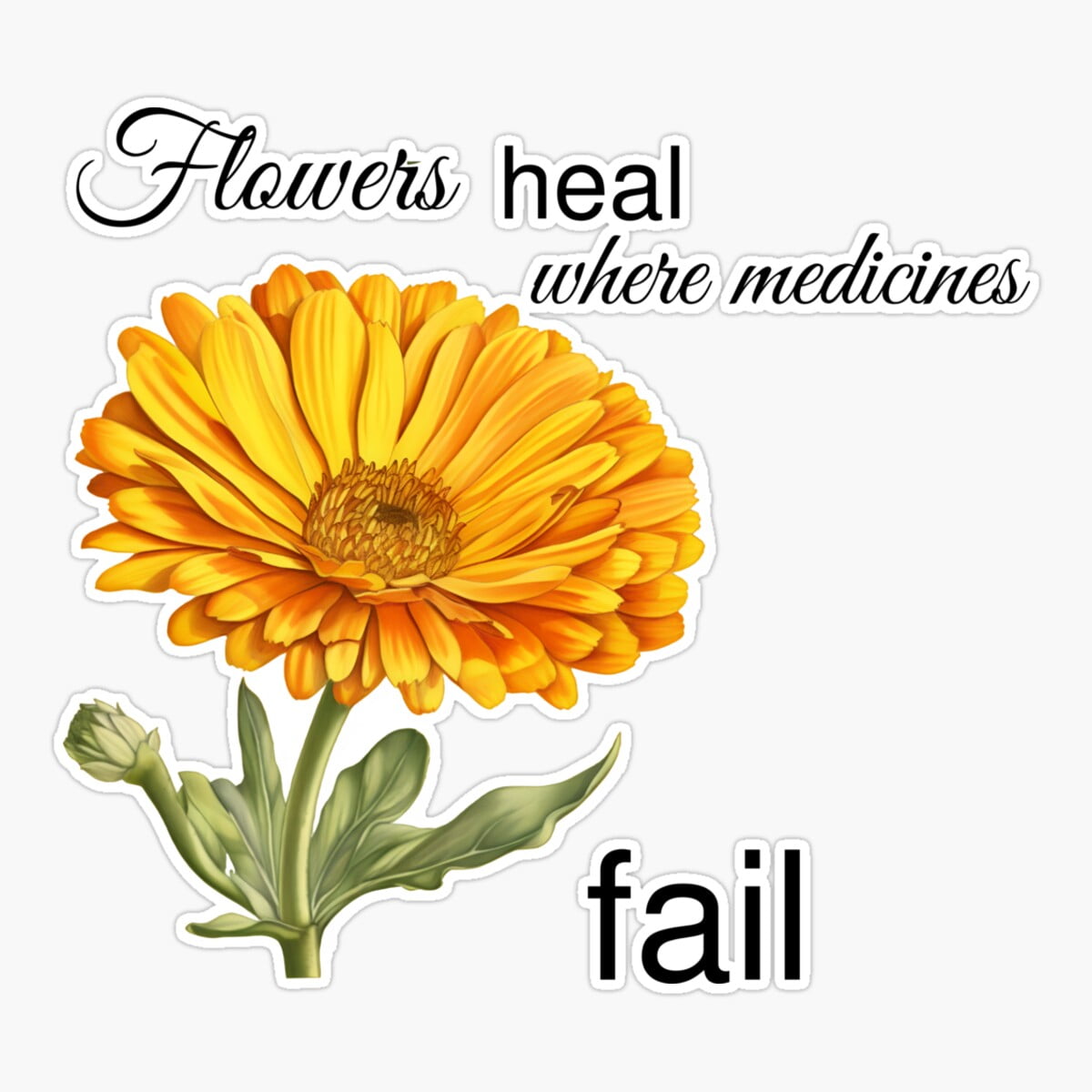 Maneki Lowers Heal,Where Medicines Ail Power O Marigold, Calendula ...