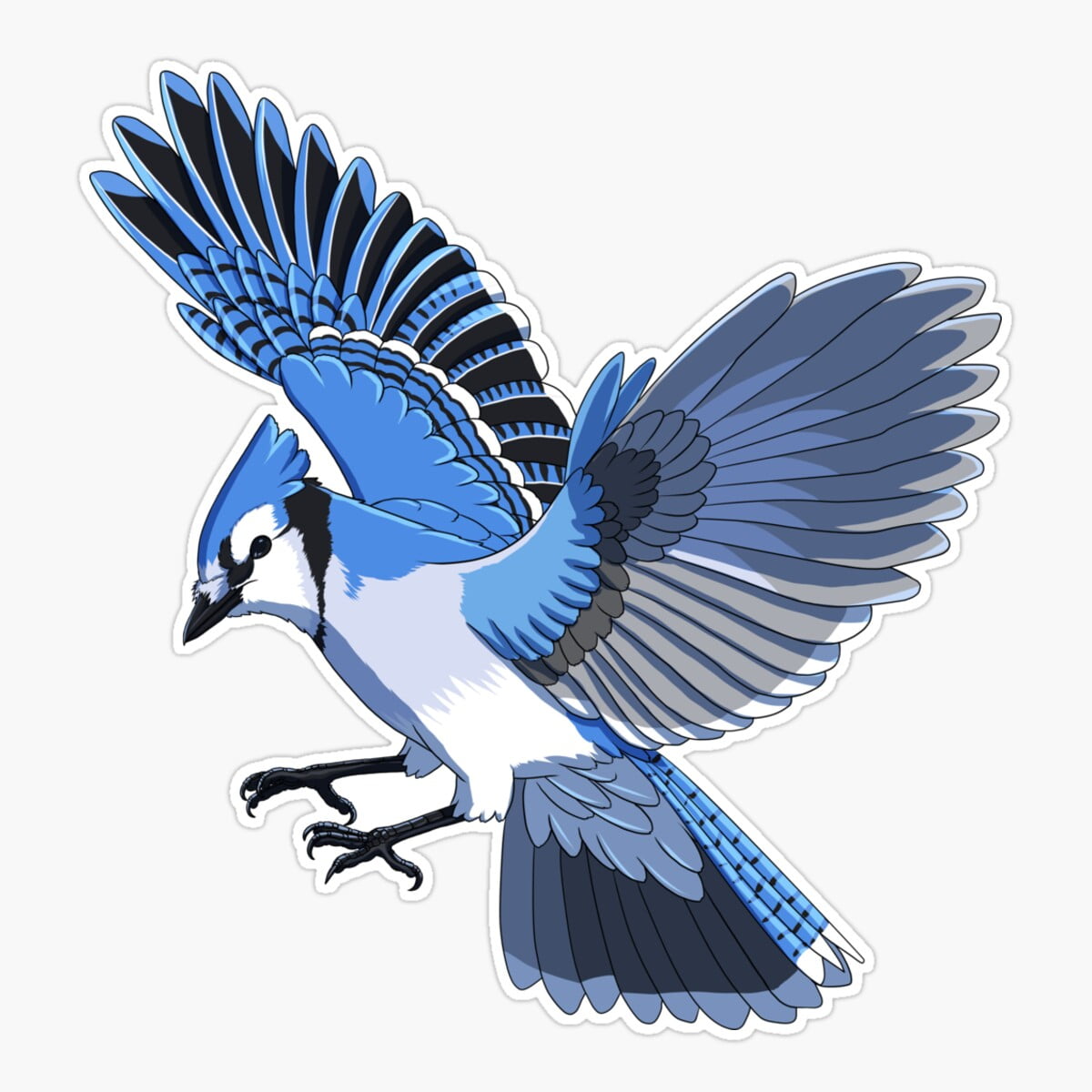 Maneki Lying Bird Blue Jay Er, Phone Decal Water Bottle Stickers Car ...