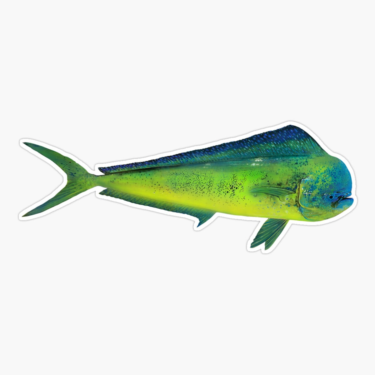 Maneki Mahi Mahi Er, Phone Decal Water Bottle Stickers Car Decals ...