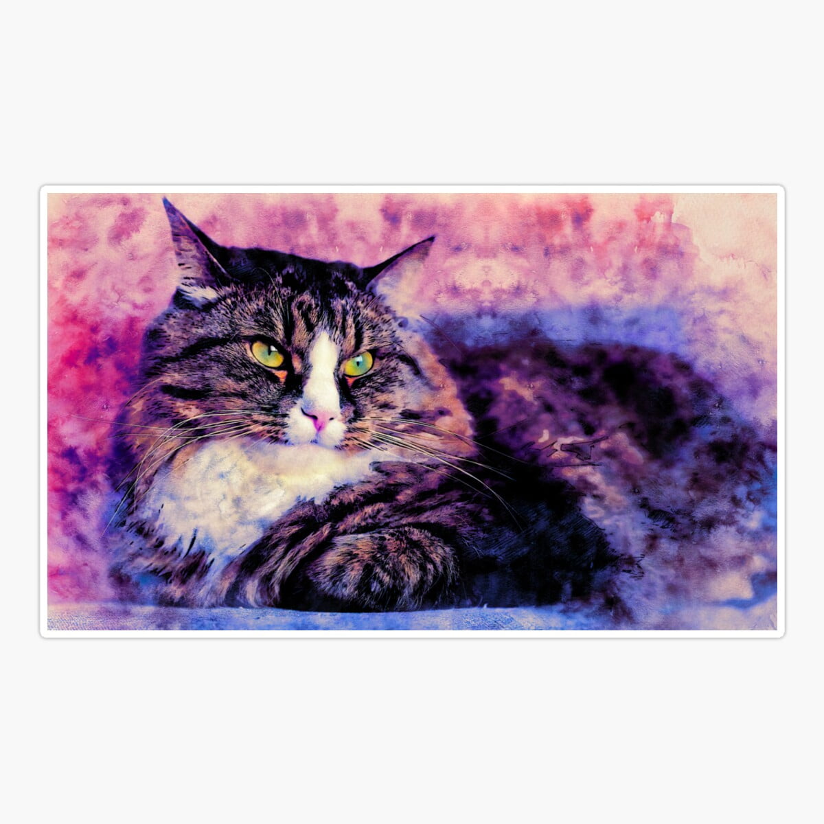 Maneki Maine Coon Cat Lying Down - Pen And Watercolor Sticker, Phone ...
