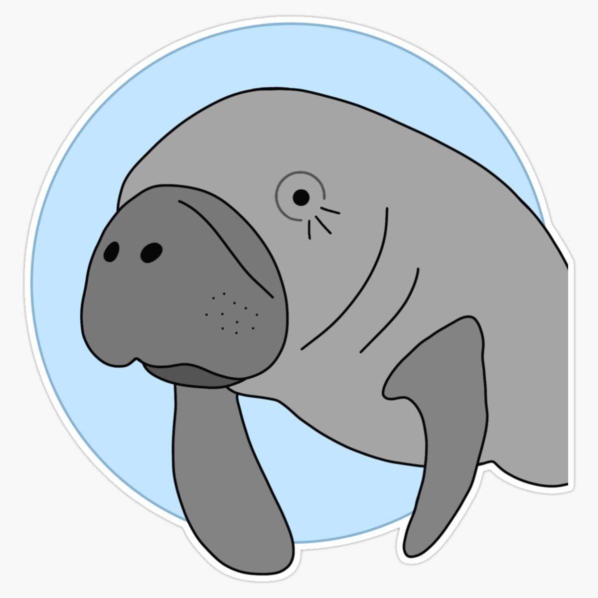 Maneki Manatee Right Er, Phone Decal Water Bottle Stickers Car Decals ...