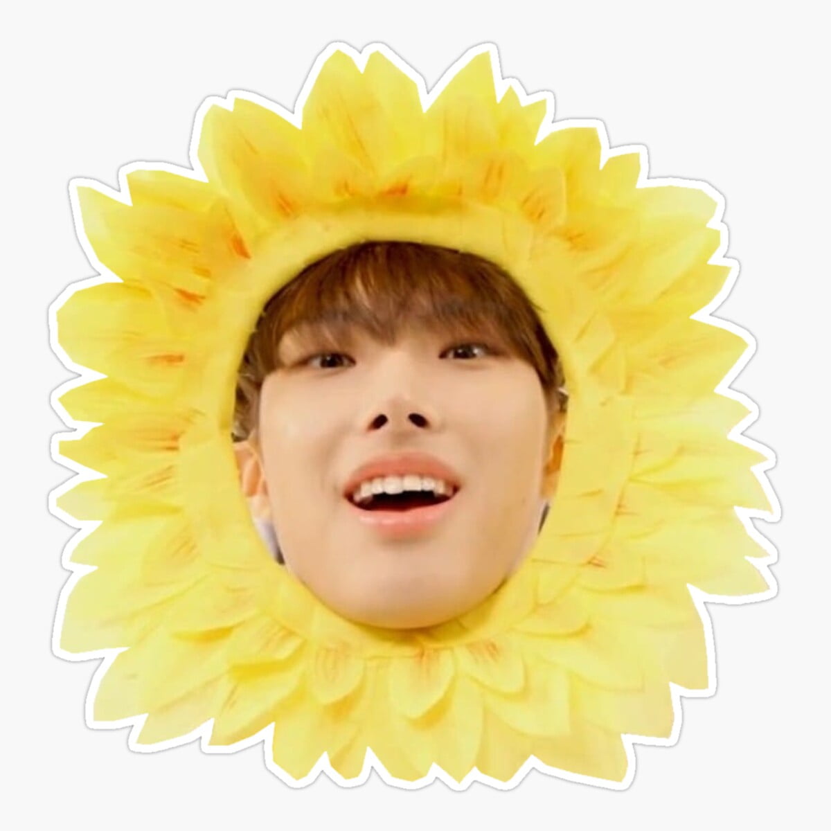 Maneki Mingi Sunflower Sticker, Phone Decal Water Bottle Stickers Car ...