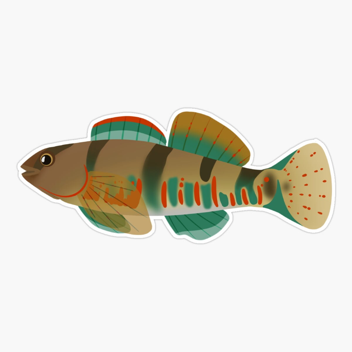 Maneki Missouri Saddled Darter (Etheostoma Tetrazonum) Er, Phone Decal ...