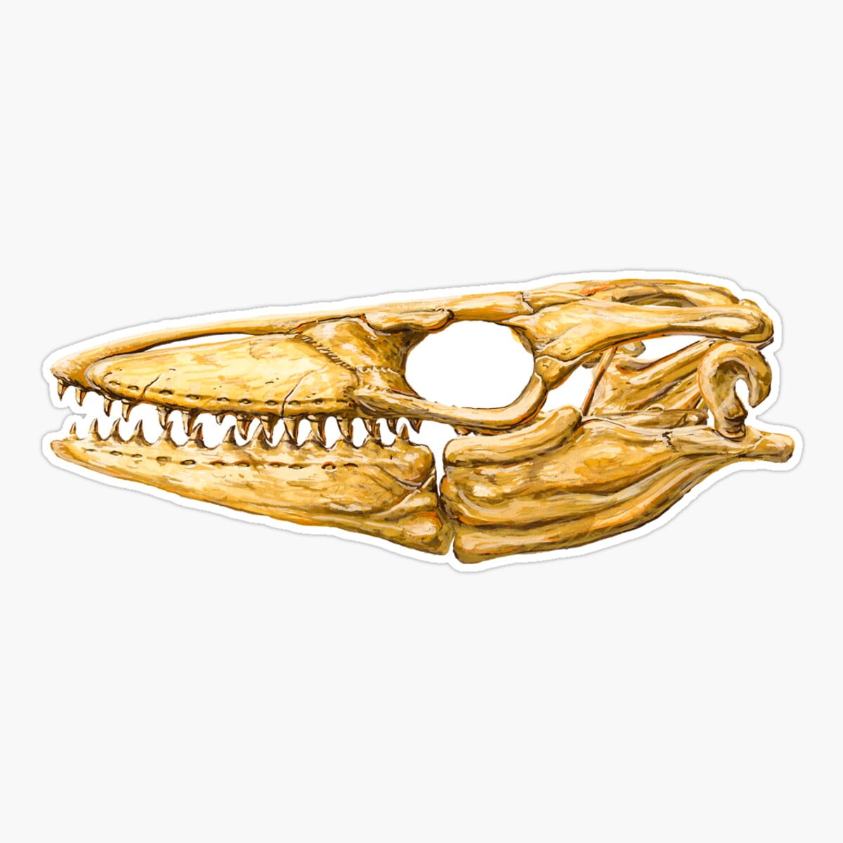 Maneki Mosasaur Skull Er, Phone Decal Water Bottle Stickers Car Decals ...