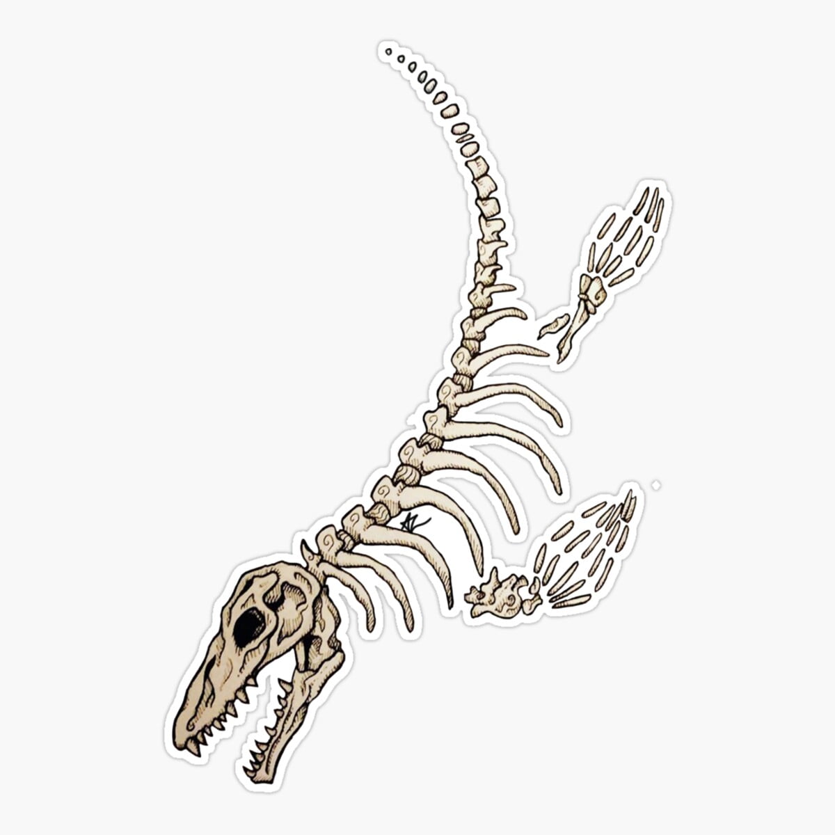 Maneki Mosasaurus Skeleton Er, Phone Decal Water Bottle Stickers Car ...