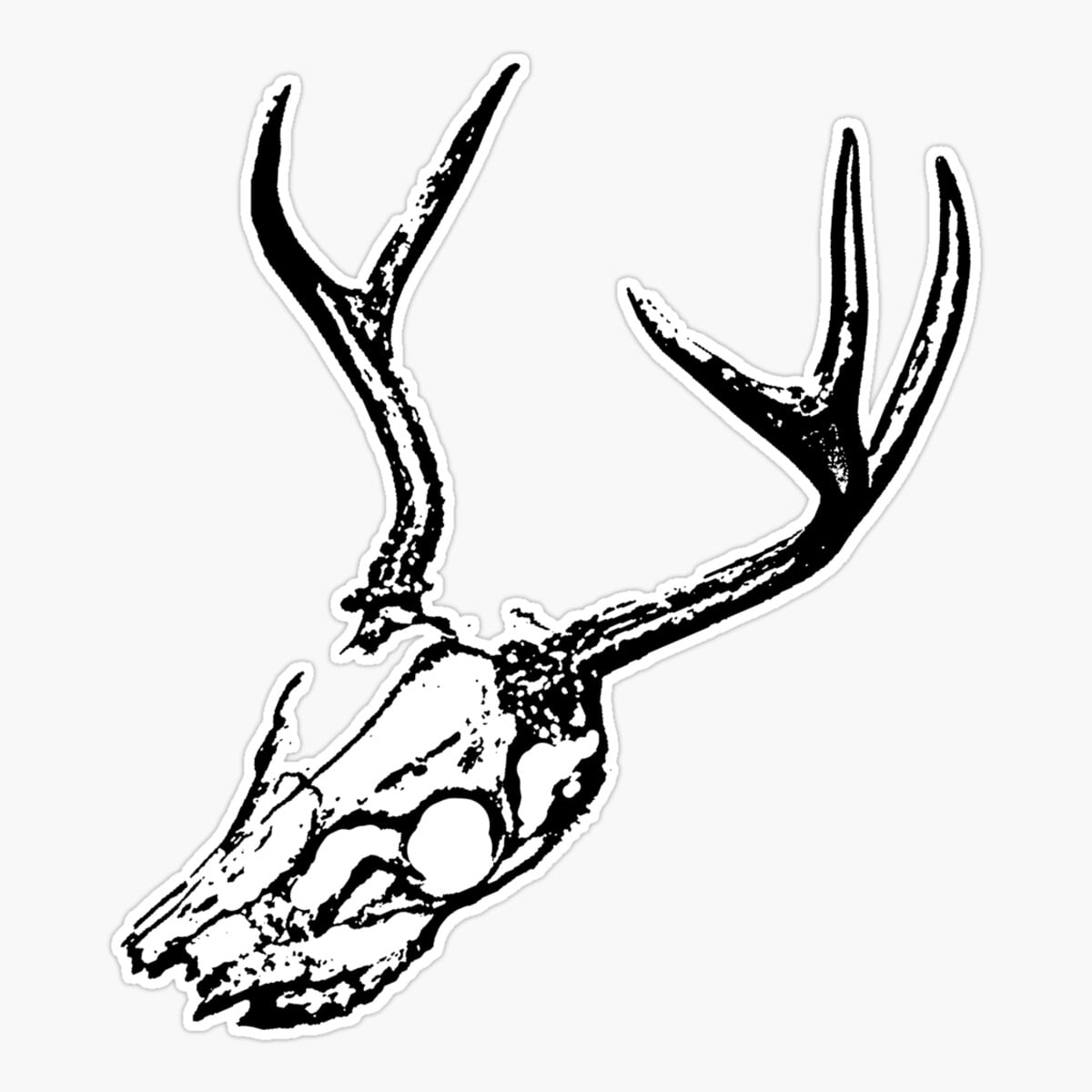 Maneki Mr. Skull The Blacktail Deer Er, Phone Decal Water Bottle ...