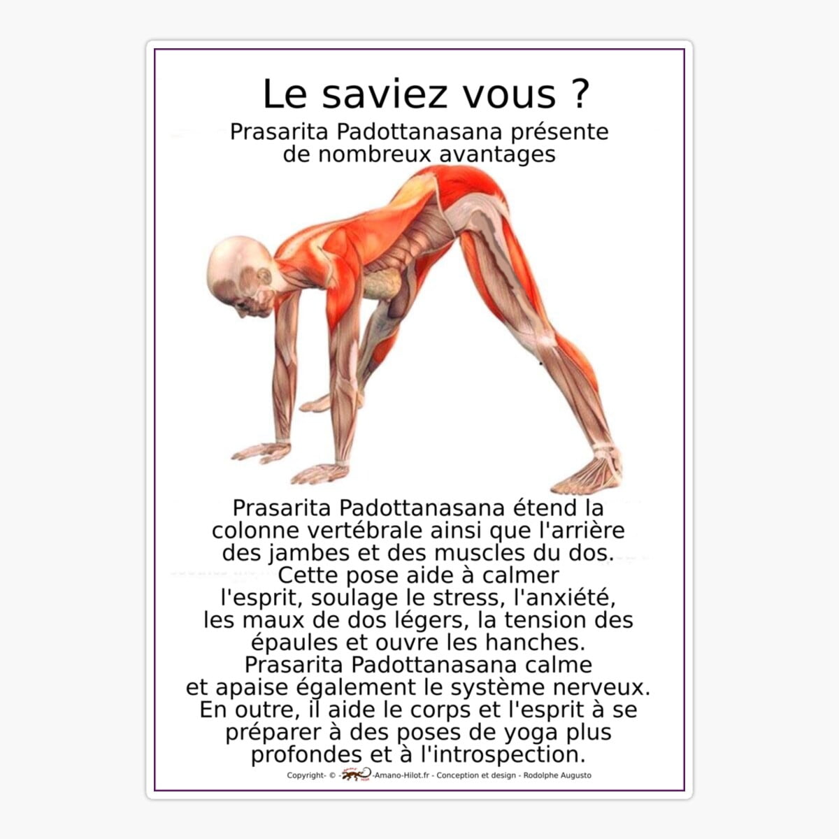 Maneki Musculoskeletal Planks O Yoga Positions - No. 10 Er, Phone Decal ...