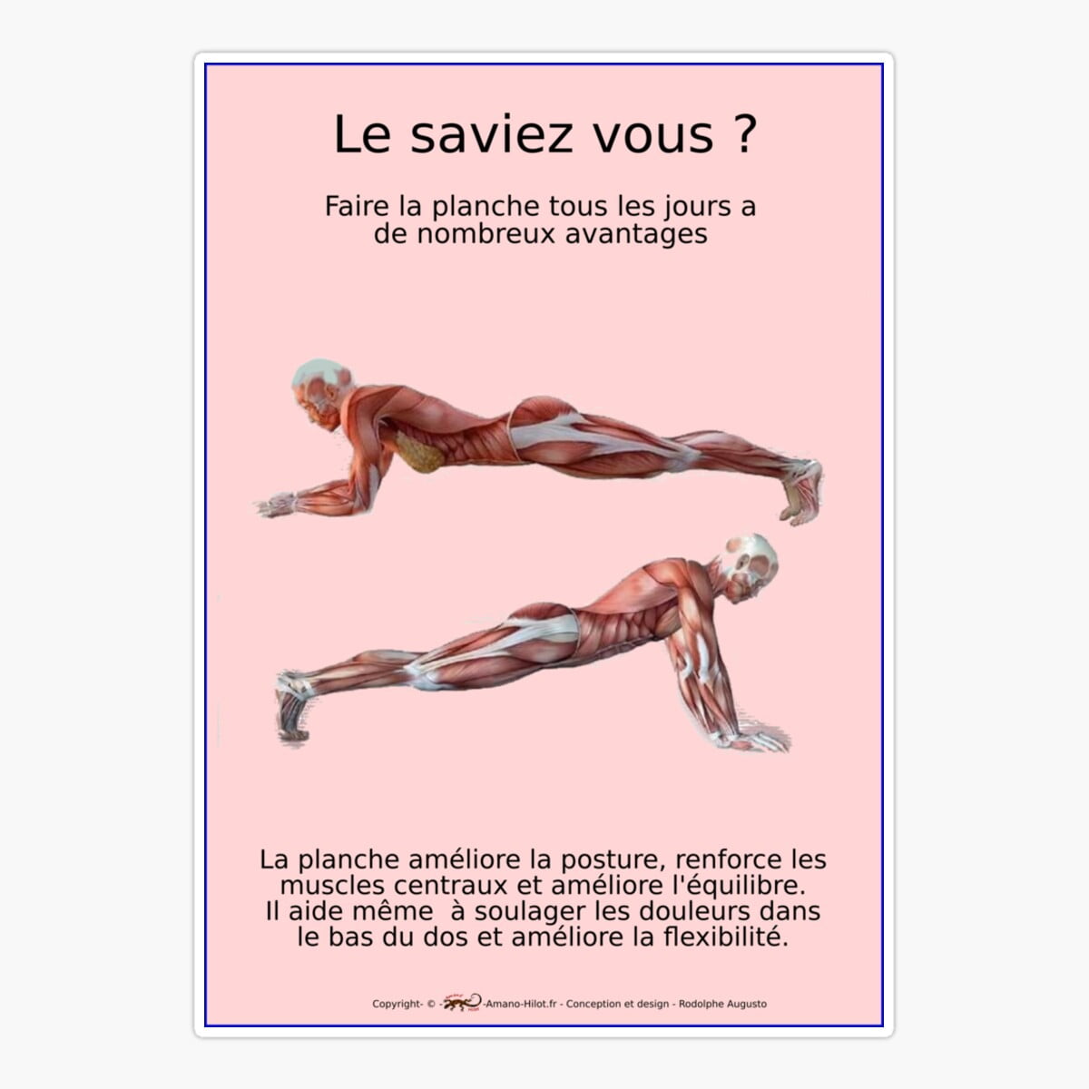 Maneki Musculoskeletal Planks O Yoga Positions - No. 22 Er, Phone Decal ...