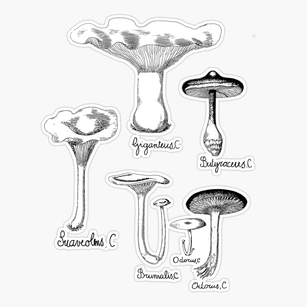 Maneki Mushroom Varieties Or Ungi Mushroom Hunters T-Shirt Sticker ...