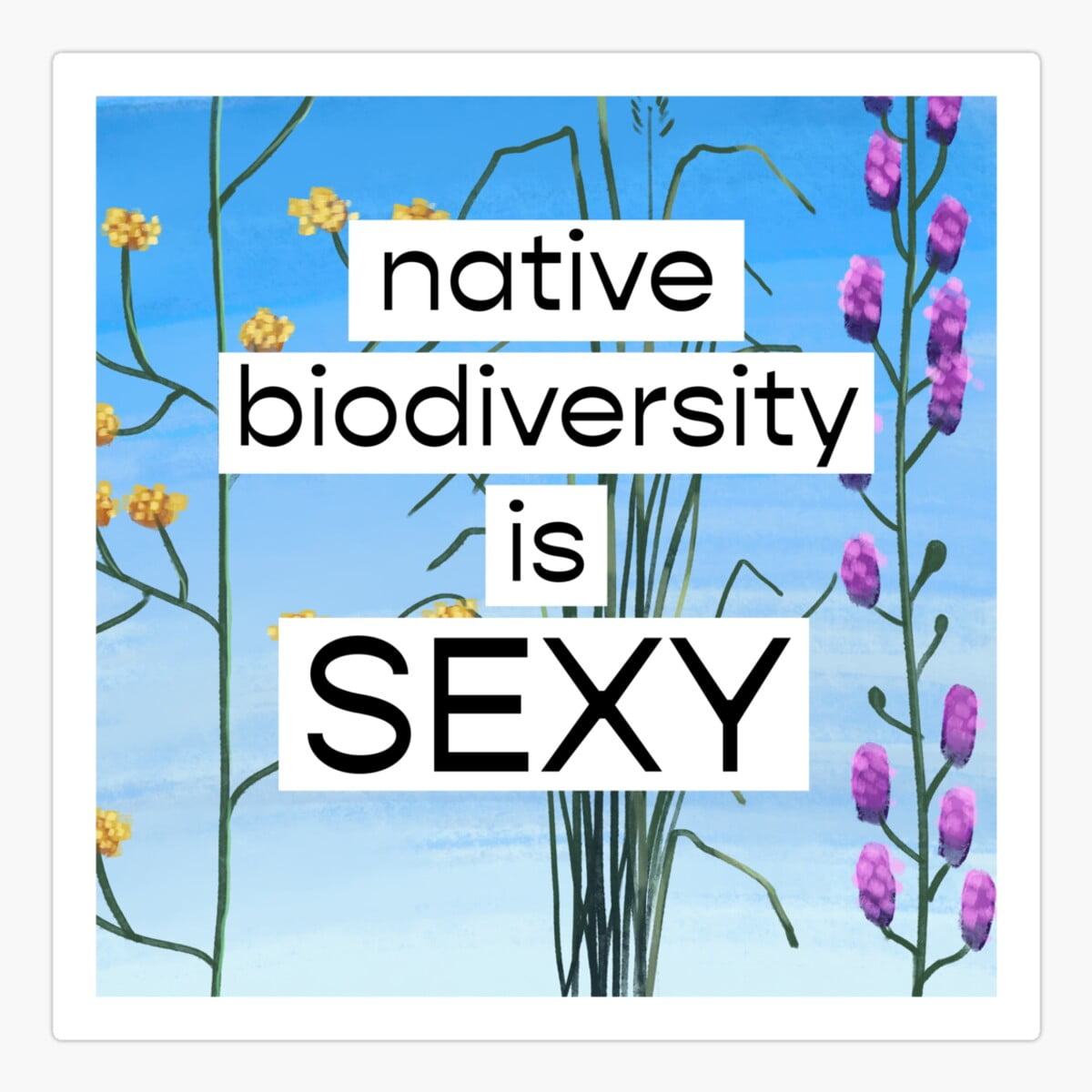 Maneki Native Biodiversity Is Y Er, Phone Decal Water Bottle Stickers ...