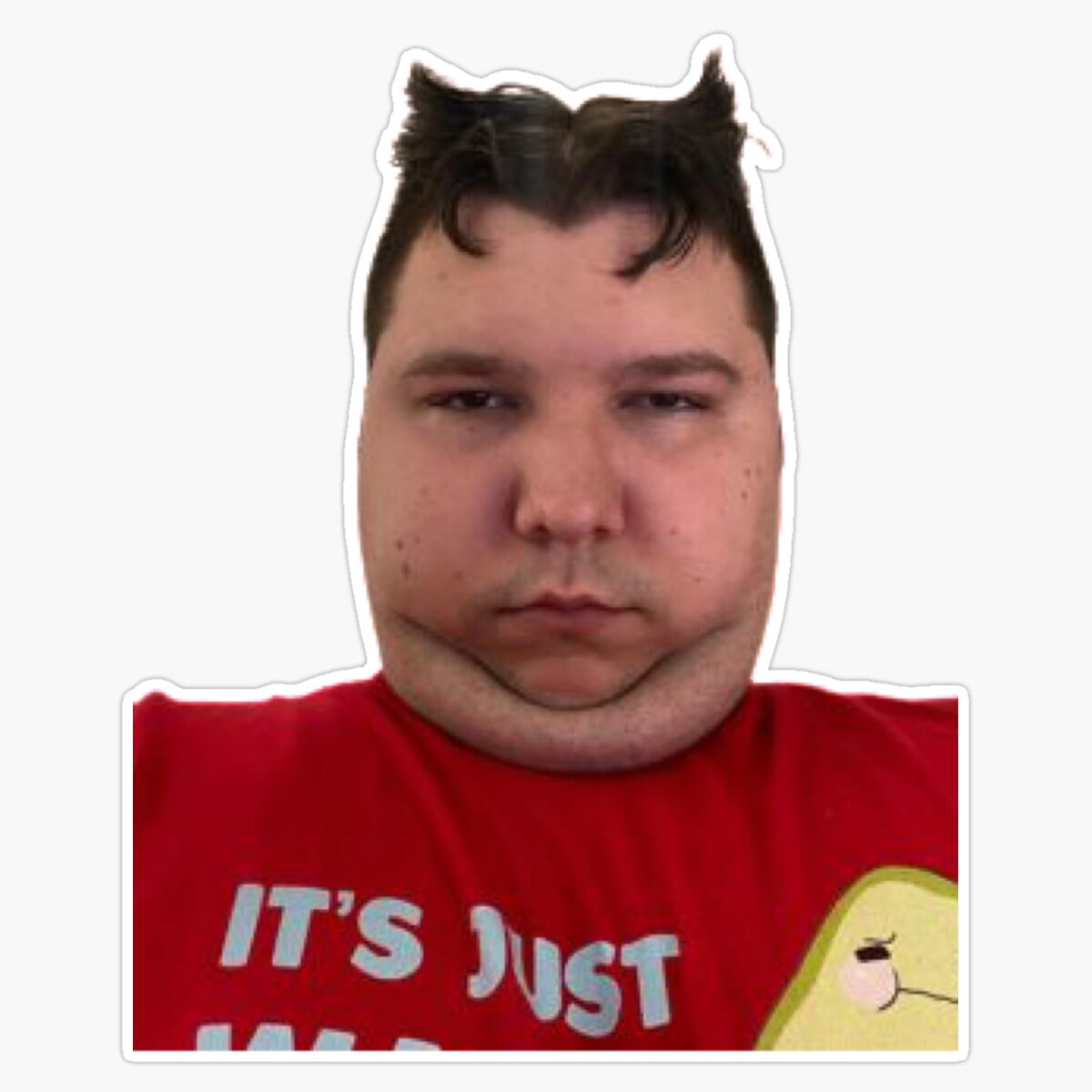 Maneki Nikocado Avocado Er, Phone Decal Water Bottle Stickers Car ...