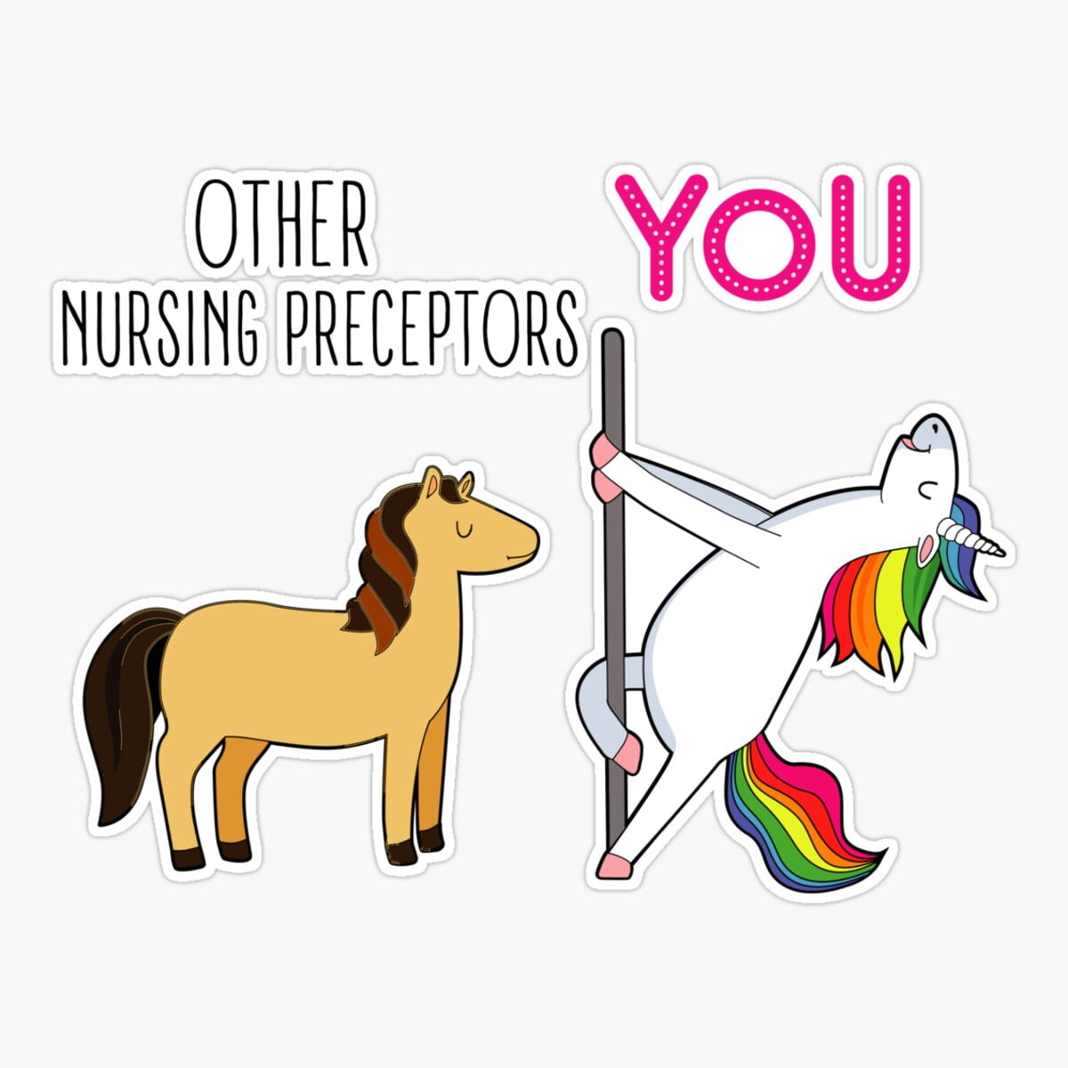 Maneki Nurse Preceptor Gifts - Other Nursing Preceptor You - Birthday ...