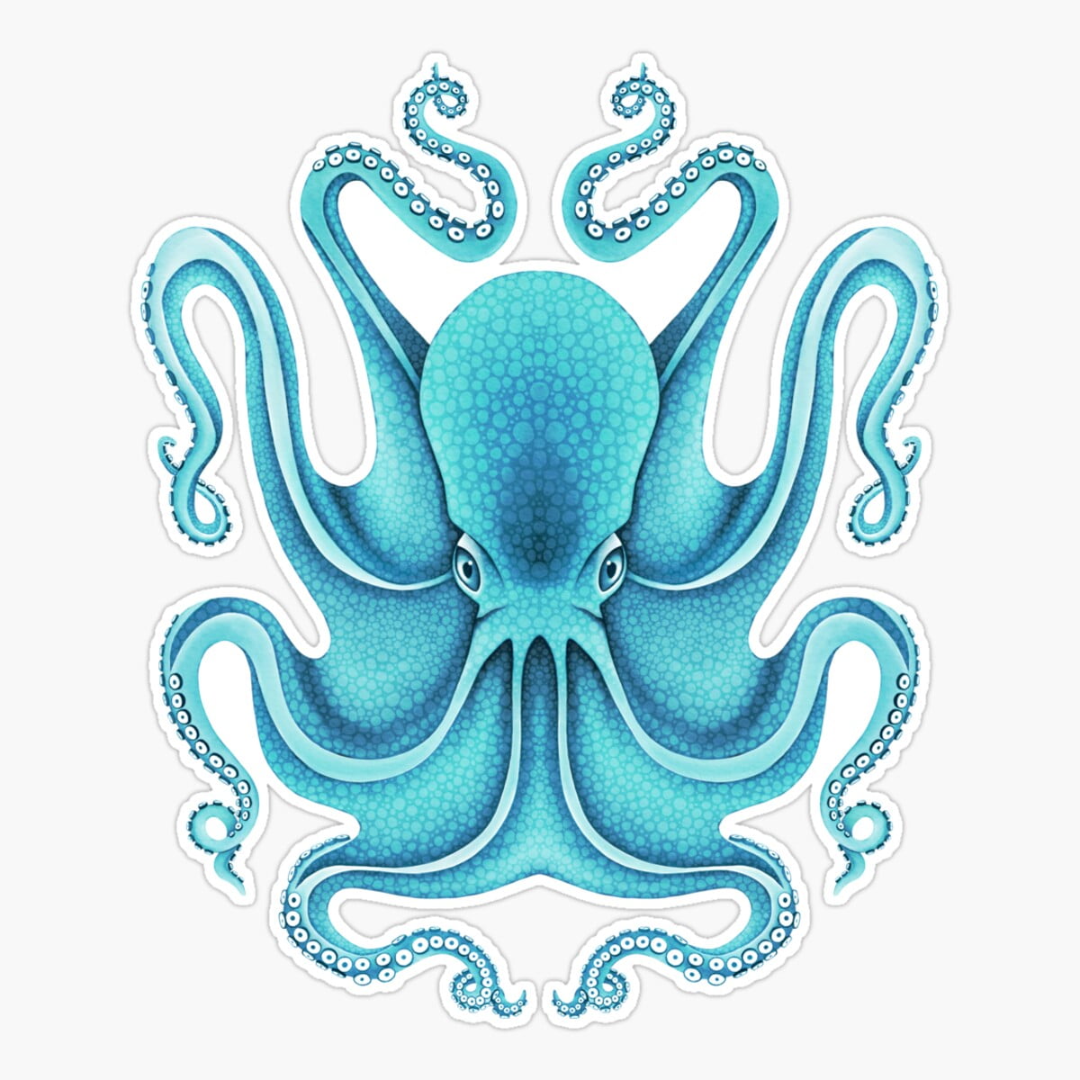 Maneki Octopus Sea Shells And Starfish Dark Teal Sticker, Phone Decal ...