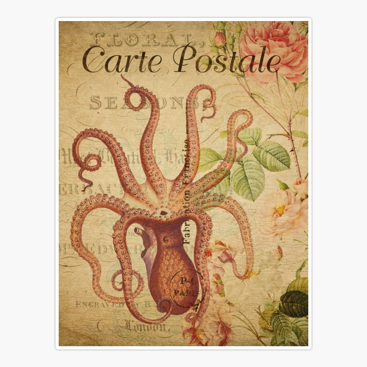 Maneki Octopus, Squid Vintage Postcard Sticker, Phone Decal Water ...