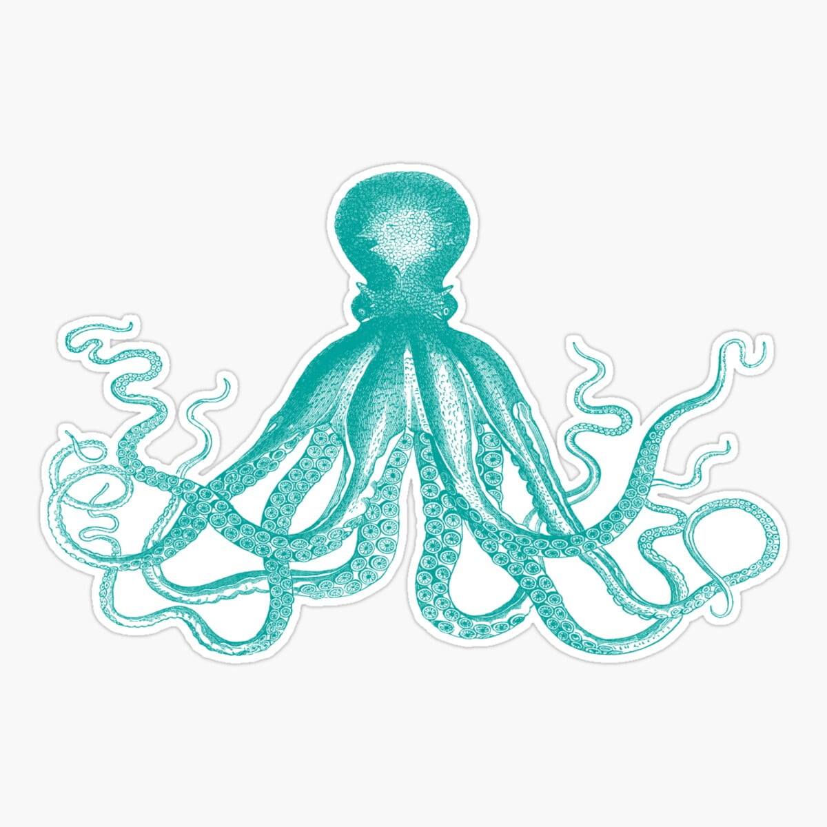 Maneki Octopus | Vintage Octopus | Tentacles | Sea Creatures | Nautical ...