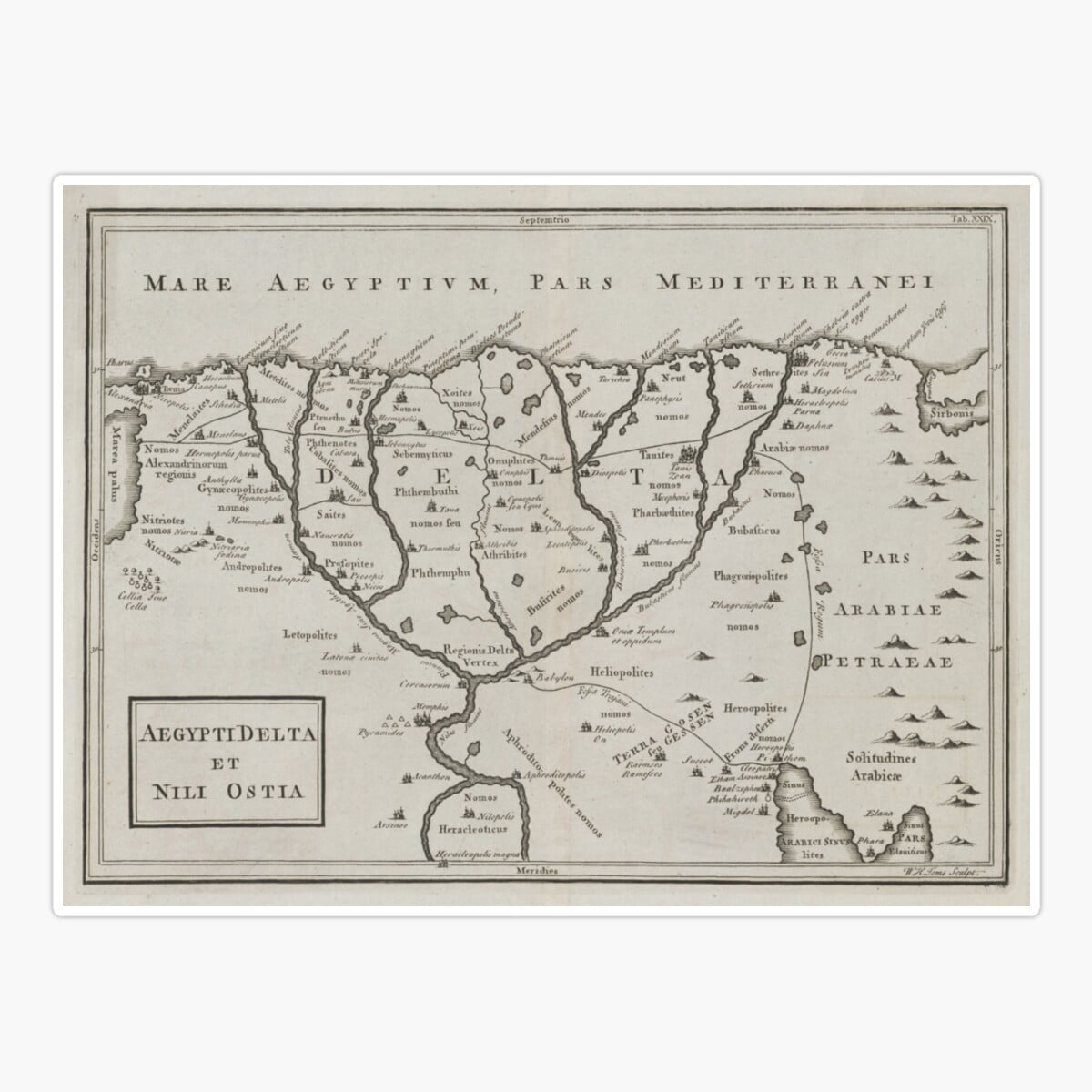 Maneki Old Nile Delta Map (1700S) Vintage Egypt River Basin Atlas ...