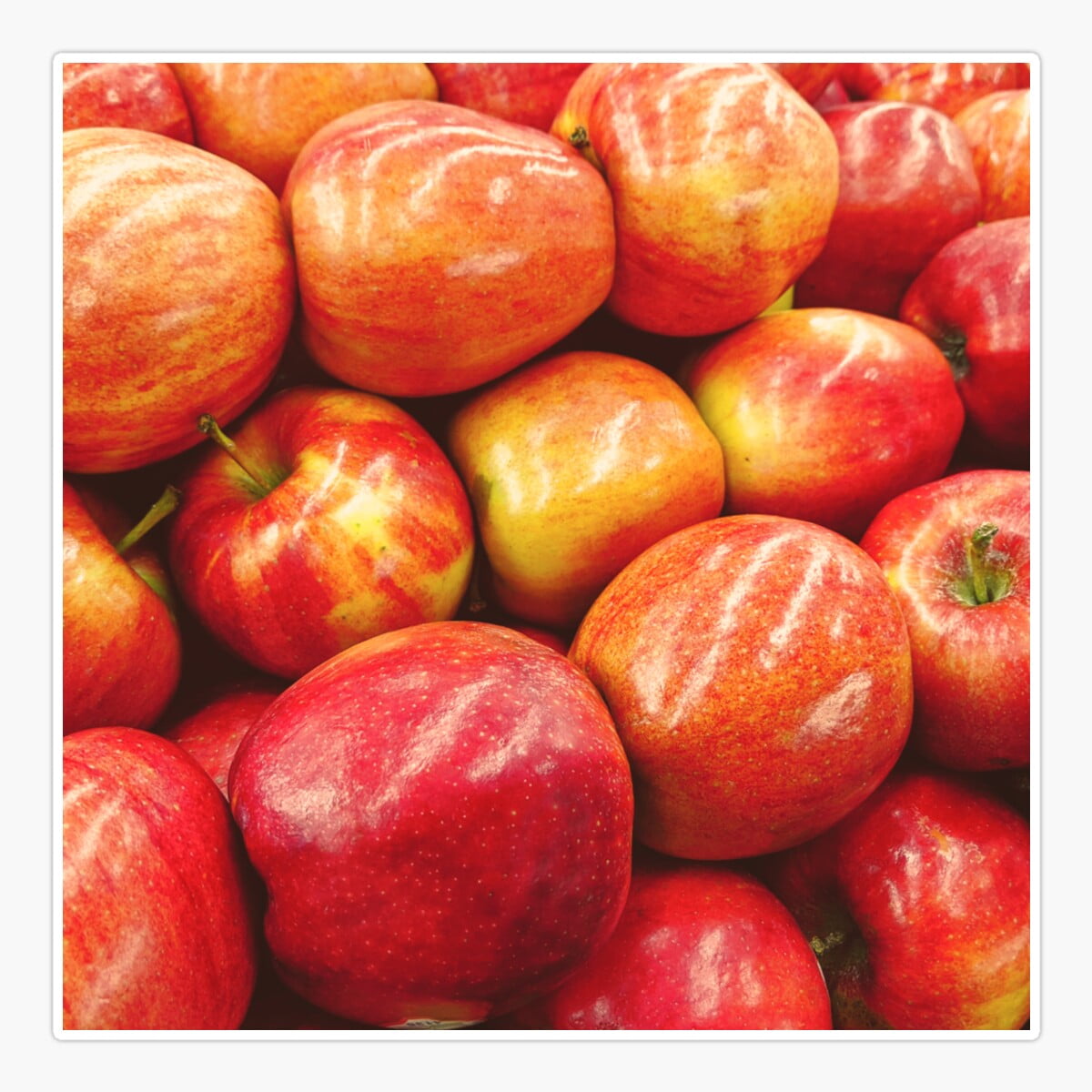 Maneki Ood Red Apples Kitchen Decor Sticker, Phone Decal Water Bottle ...