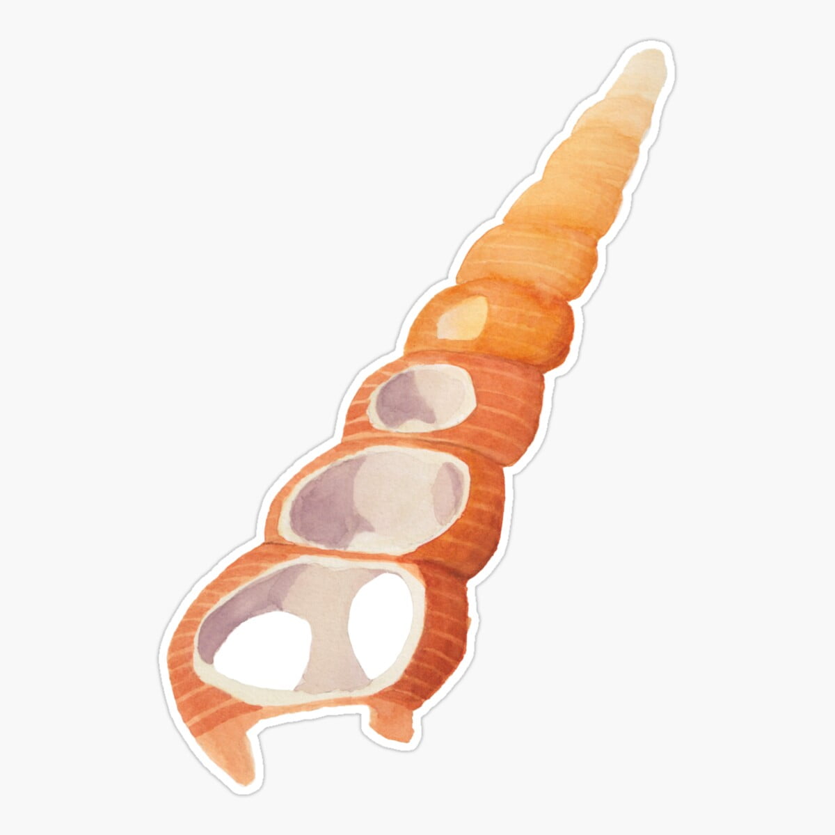 Maneki Orange Watercolour Shell Sticker, Phone Decal Water Bottle ...