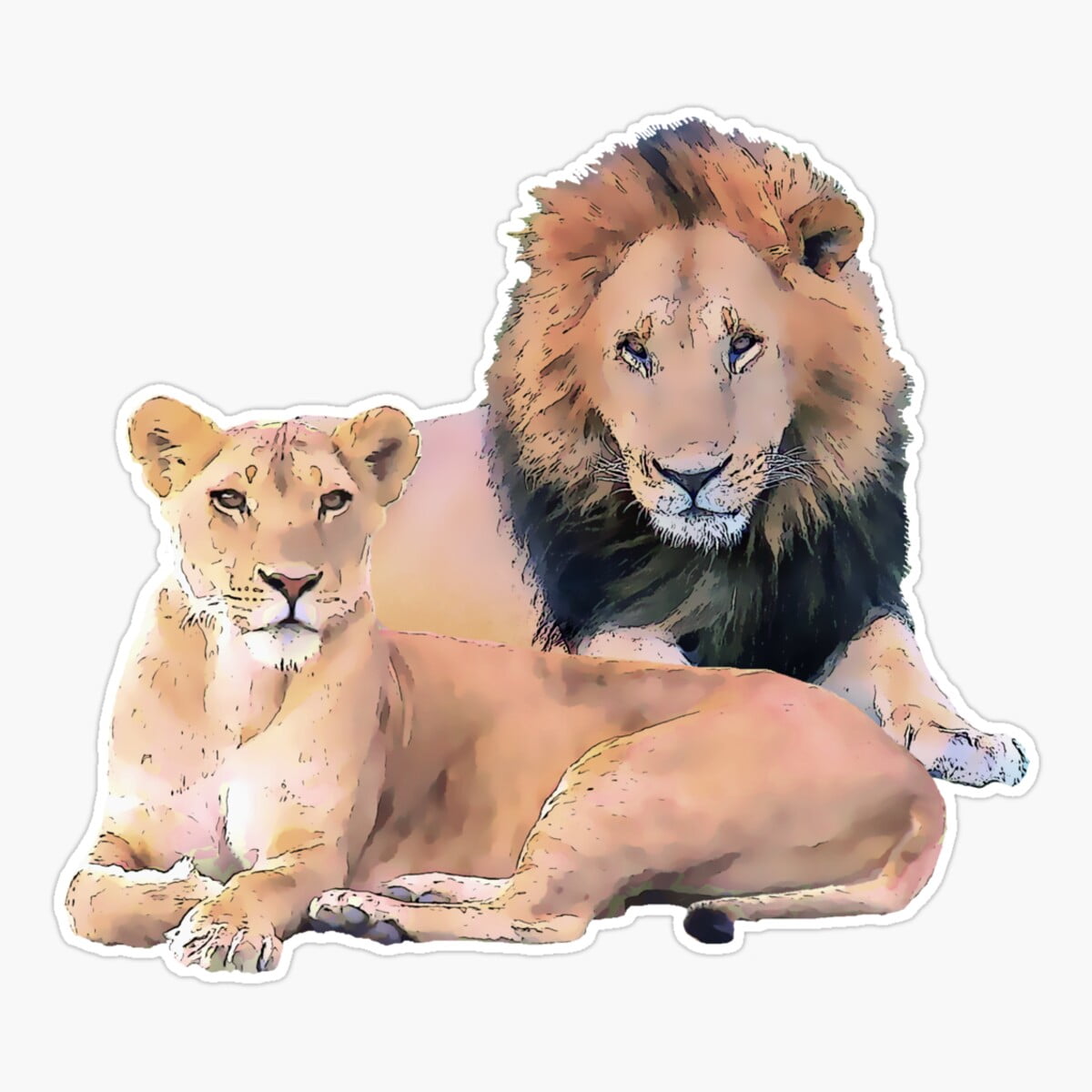 Maneki Pair Of Lions - Drawing Of A Lion With A Lioness In Kenya ...