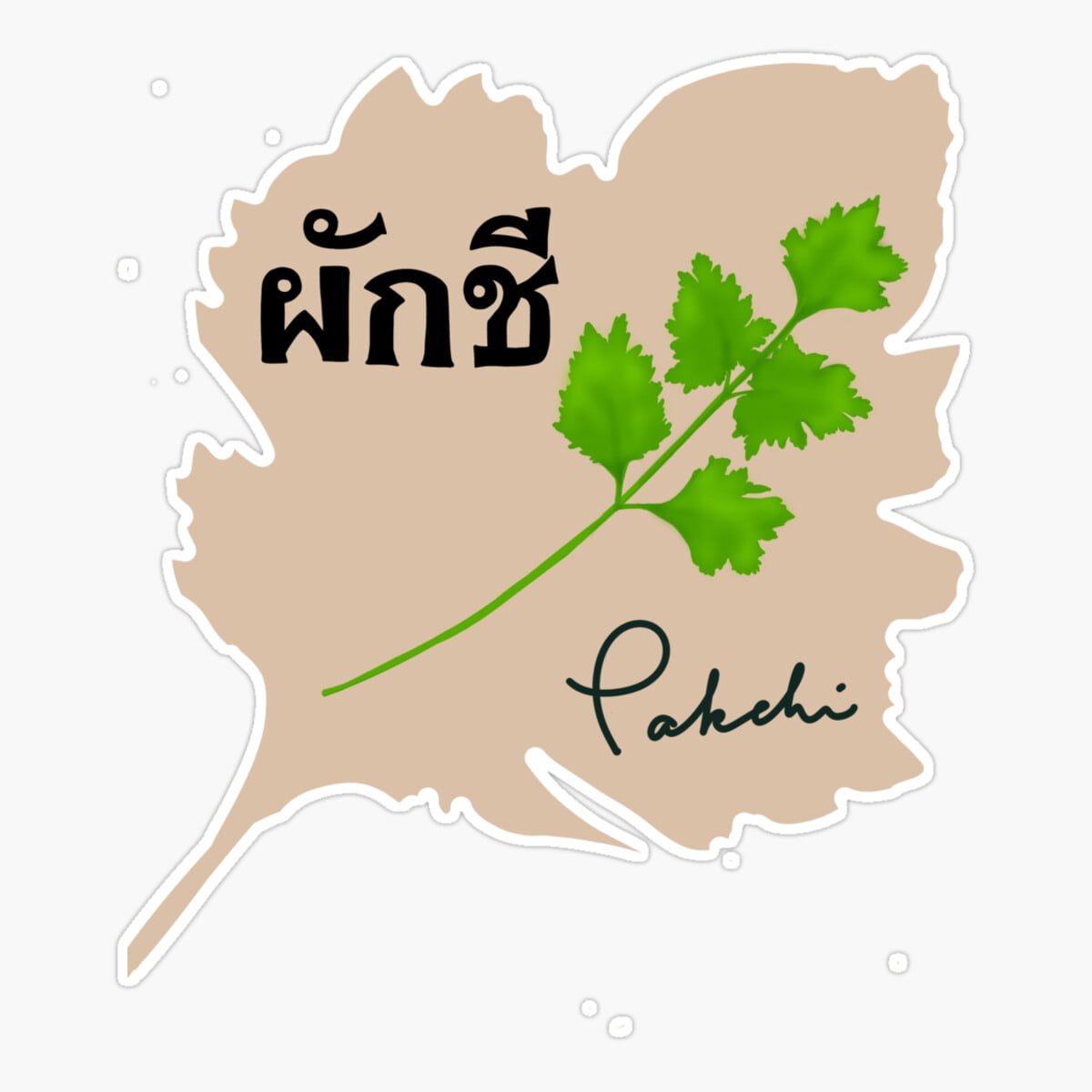 Maneki Pakchi-Thai Pasley-Thai Ood Ingridents Thai Ood Lover Cooking ...