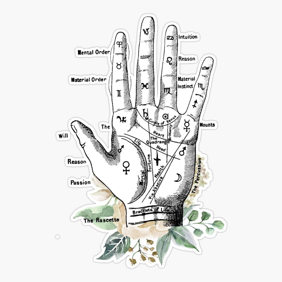 Maneki Palmistry Hand, Er, Phone Decal Water Bottle Stickers Car Decals ...