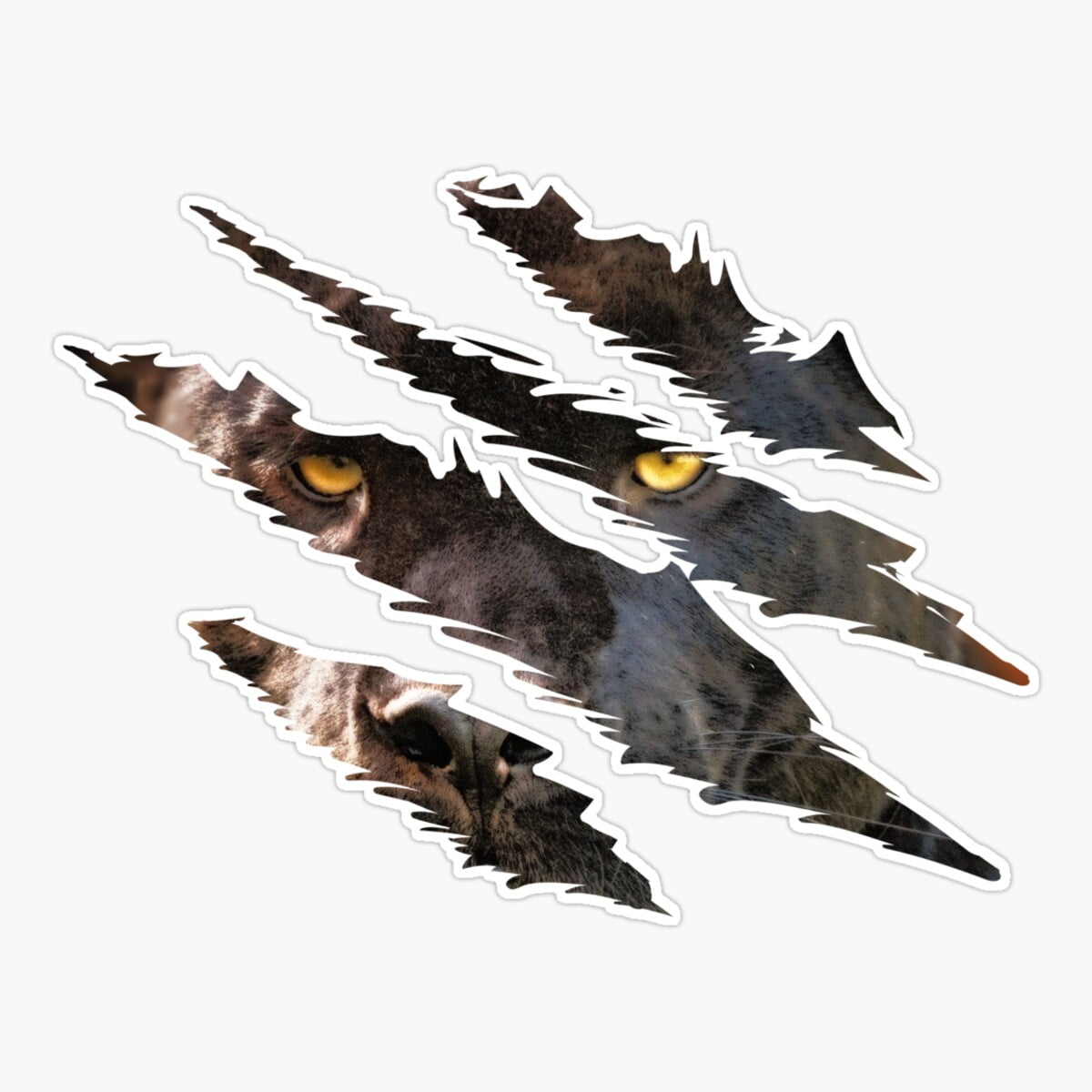 Maneki Panther Jaguar Face Claw Effect Big Cat Slash Claw Panther Gear ...