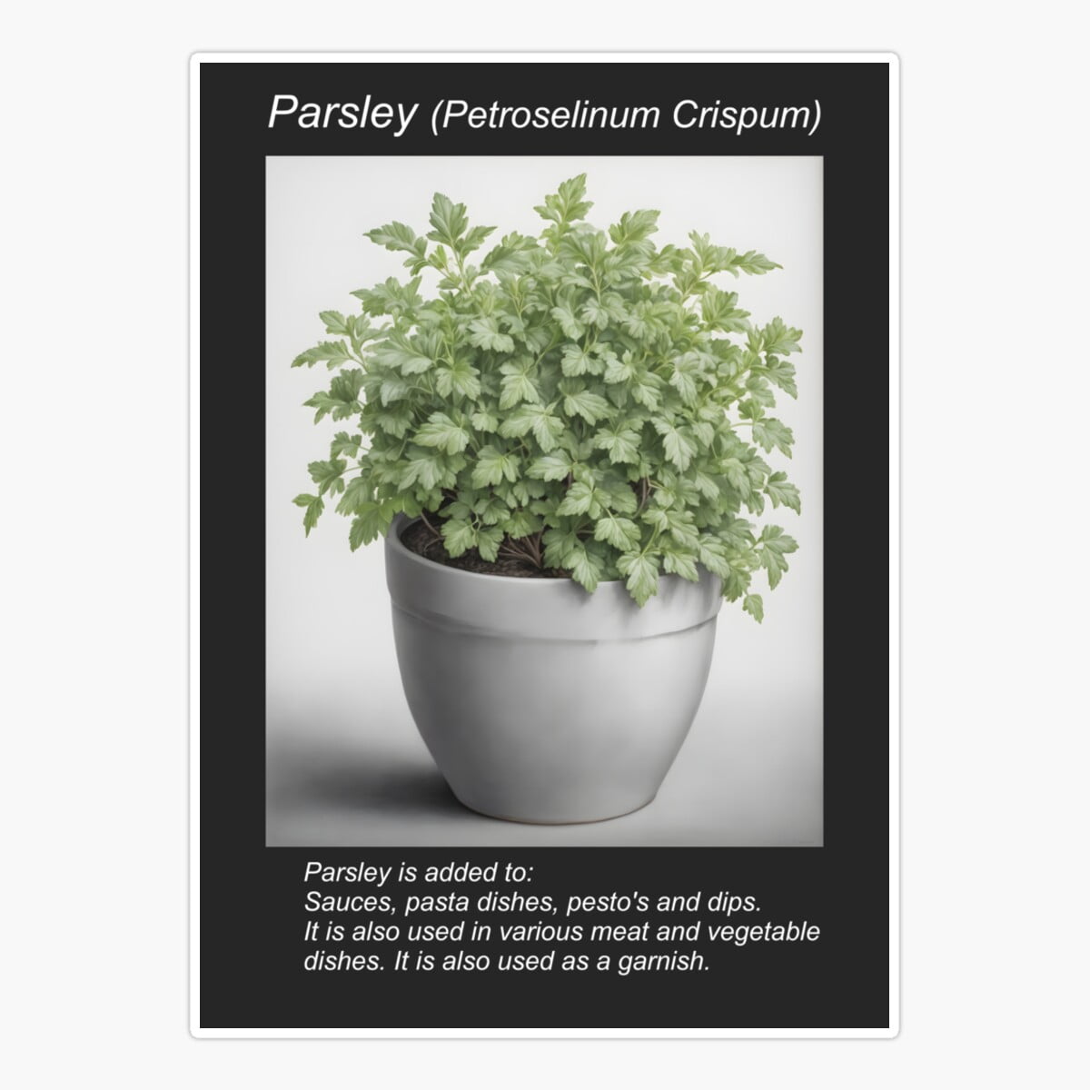 Maneki Parsley Kitchen Herb Poster-Art Sticker, Phone Decal Water ...