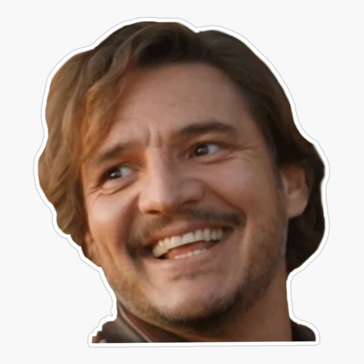 Maneki Pedro Pascal Er, Phone Decal Water Bottle Stickers Car Decals ...